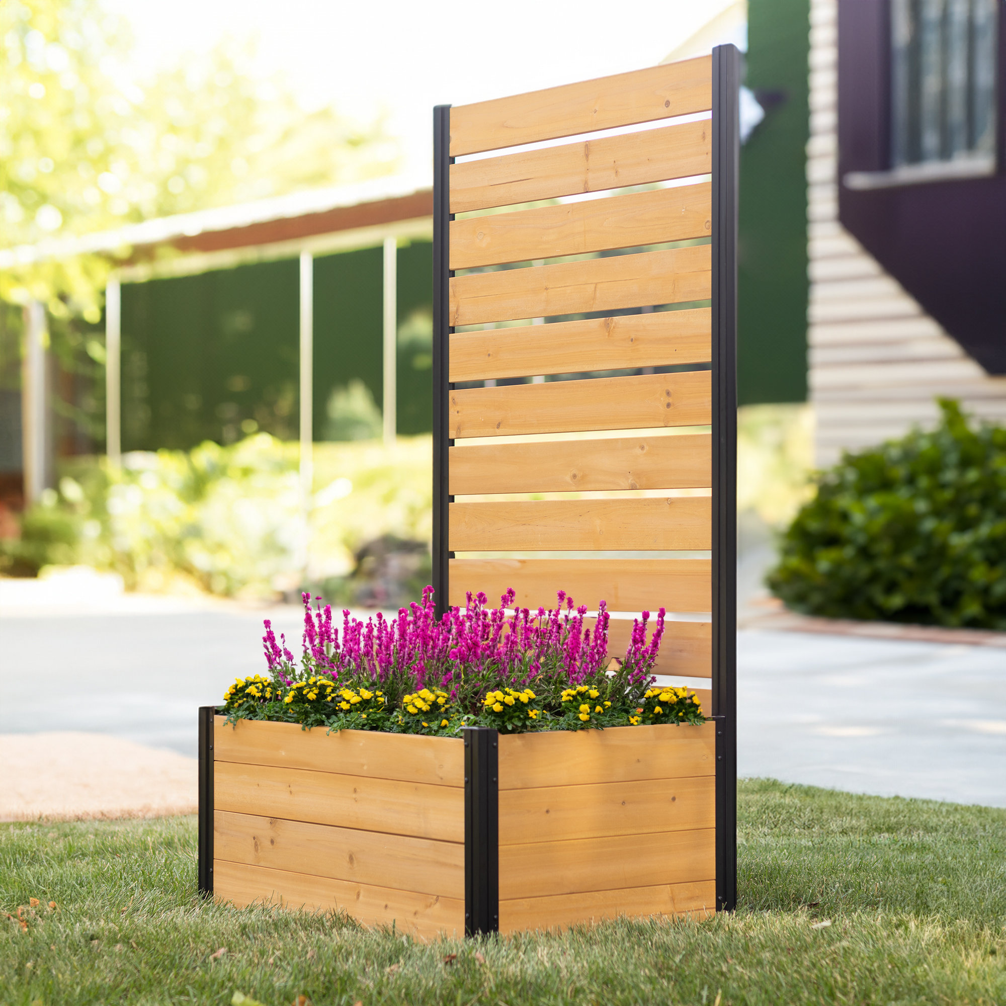 Enclo (1 Screen w/Planter) Freestanding Enclo Concord Cedar Wood ...