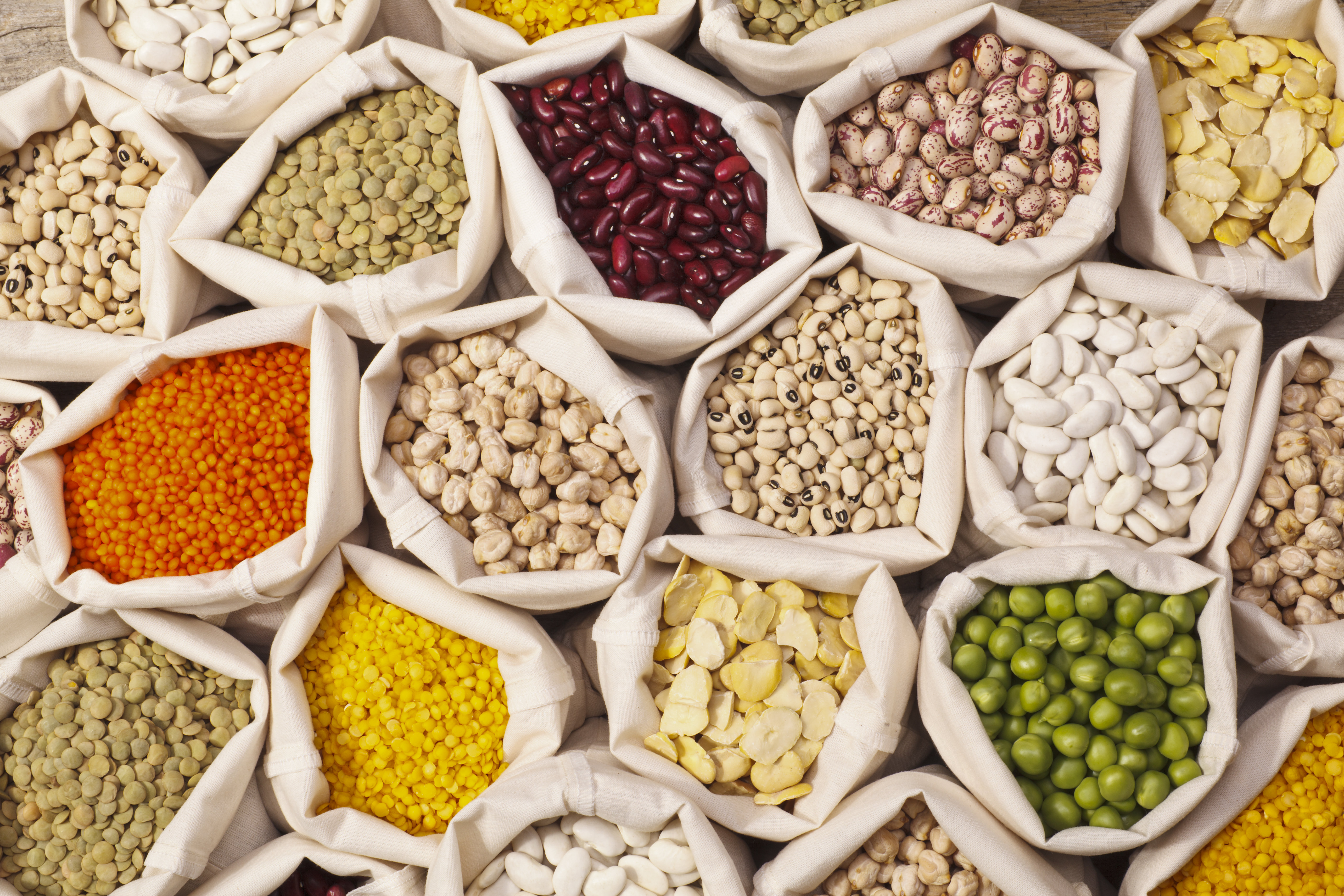 17 Stories Leguminous Seeds Collection - Wrapped Canvas Art Prints ...