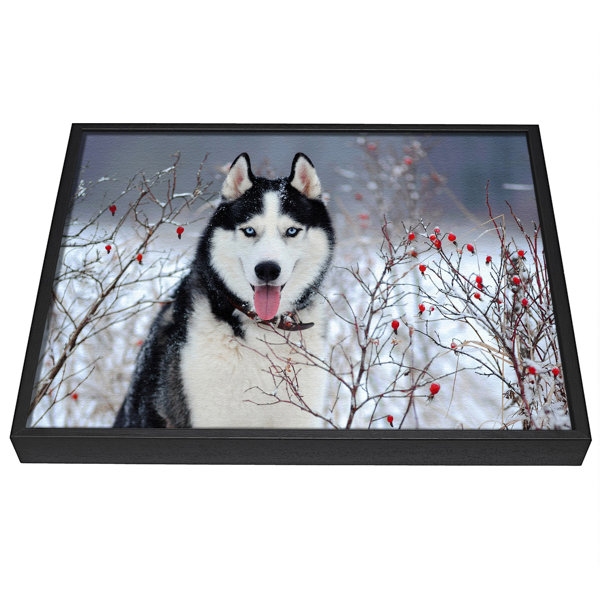Union Rustic Husky Dog In The Winter - Single Picture Frame Art Prints ...