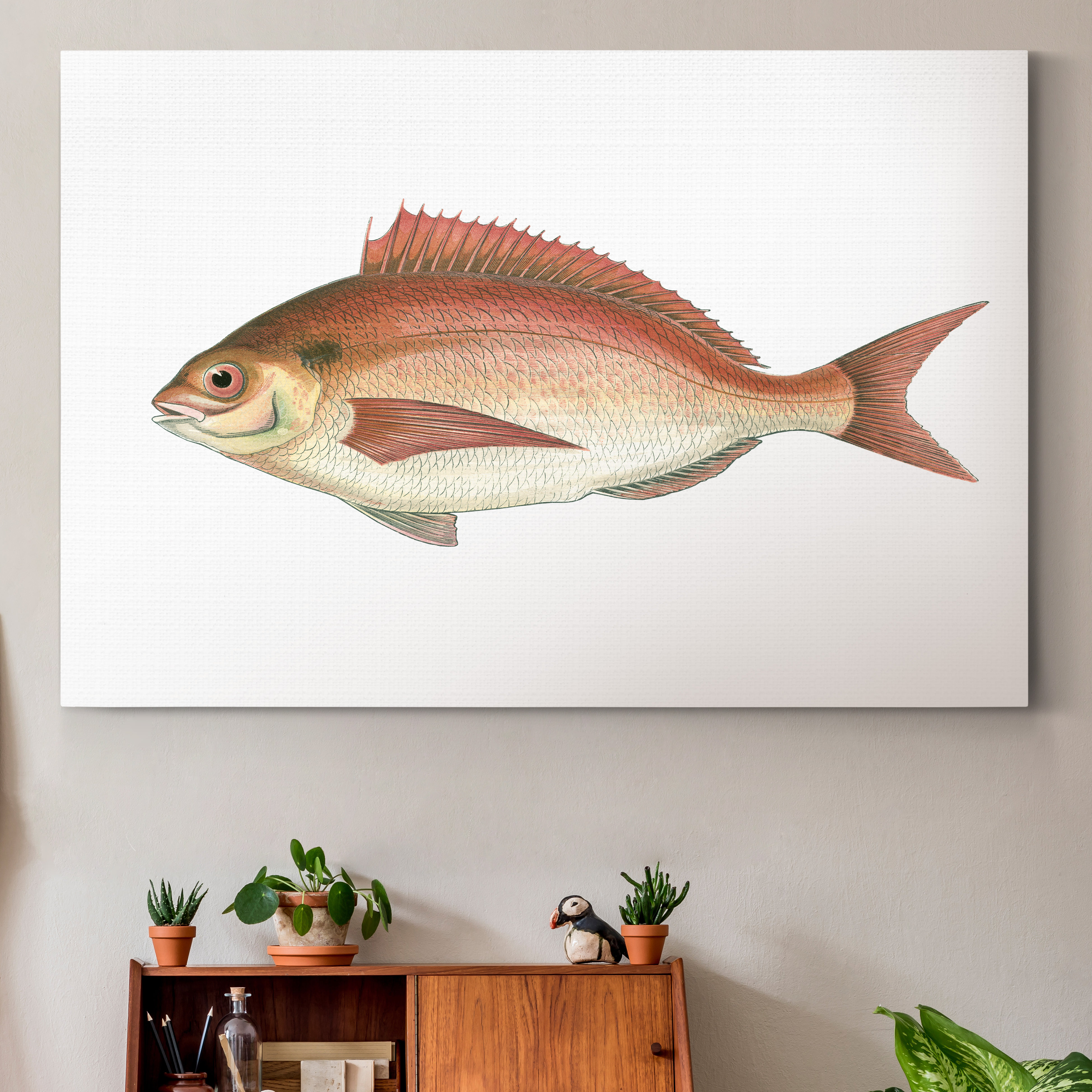 Highland Dunes Small Antique Fish III - Print on Canvas - Wayfair Canada