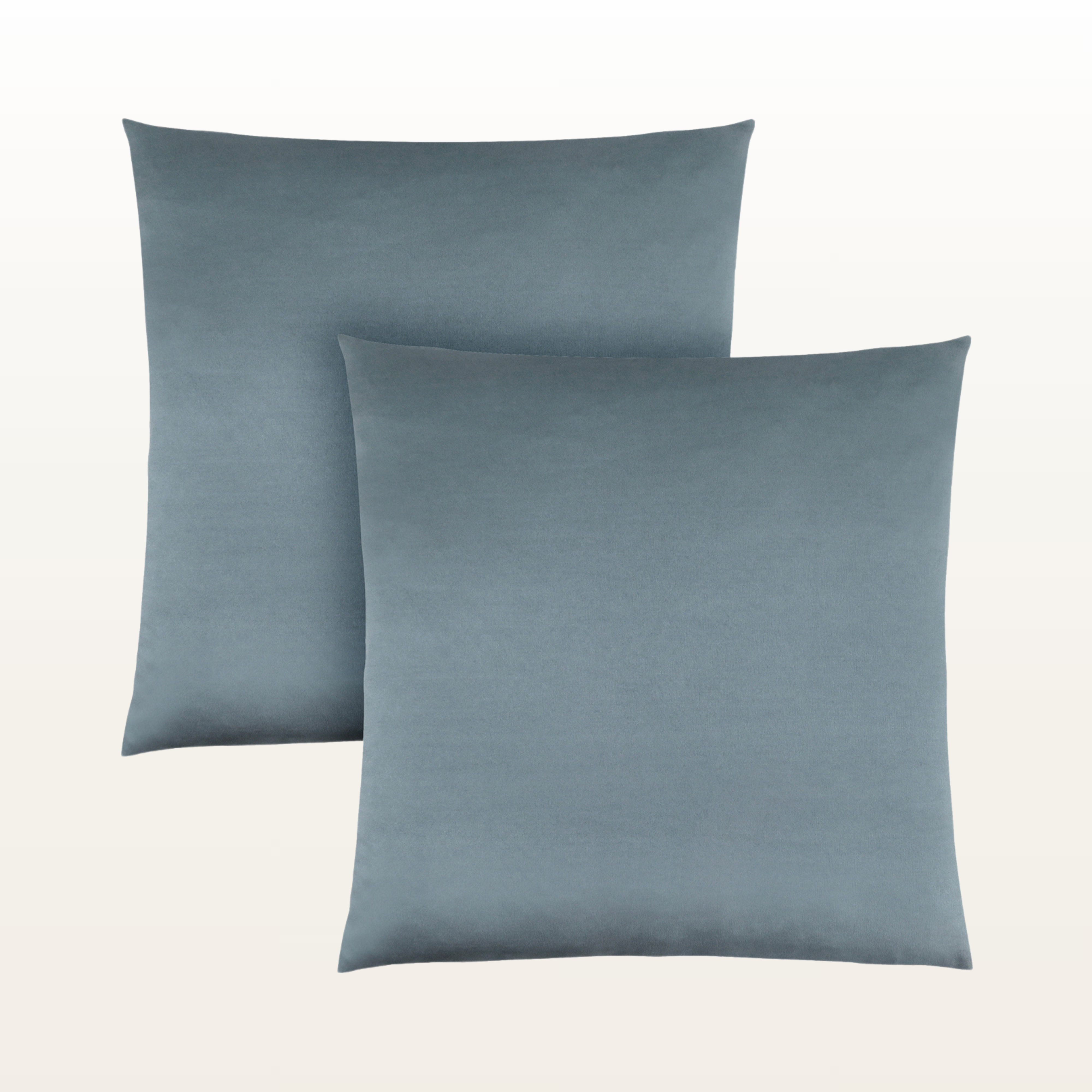Livi Homes Larese Pillows Set Of 2 | Wayfair