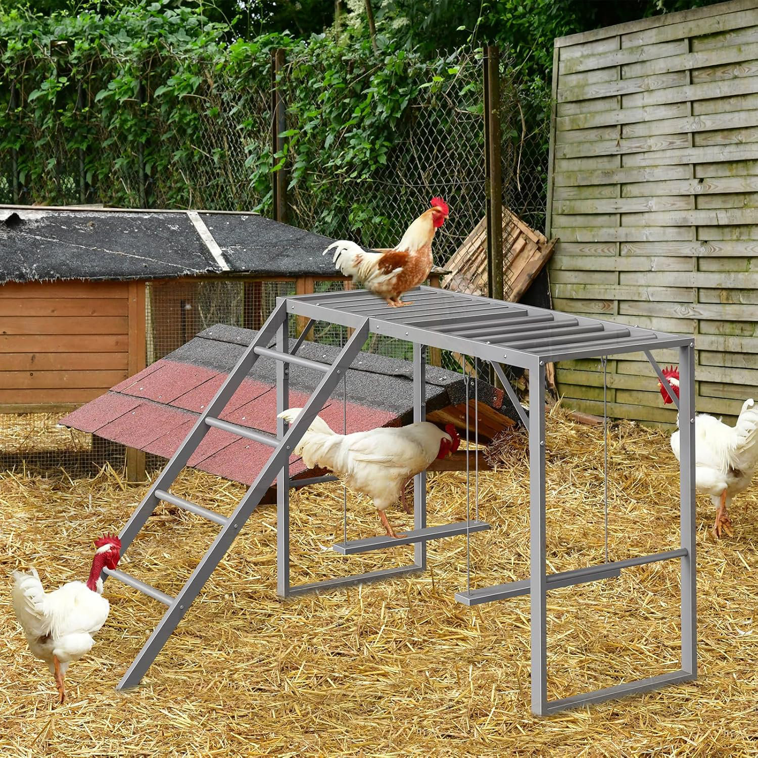 Tucker Murphy Pet™ Chicken Perch With Swing, Chicken Ladder Roosting ...