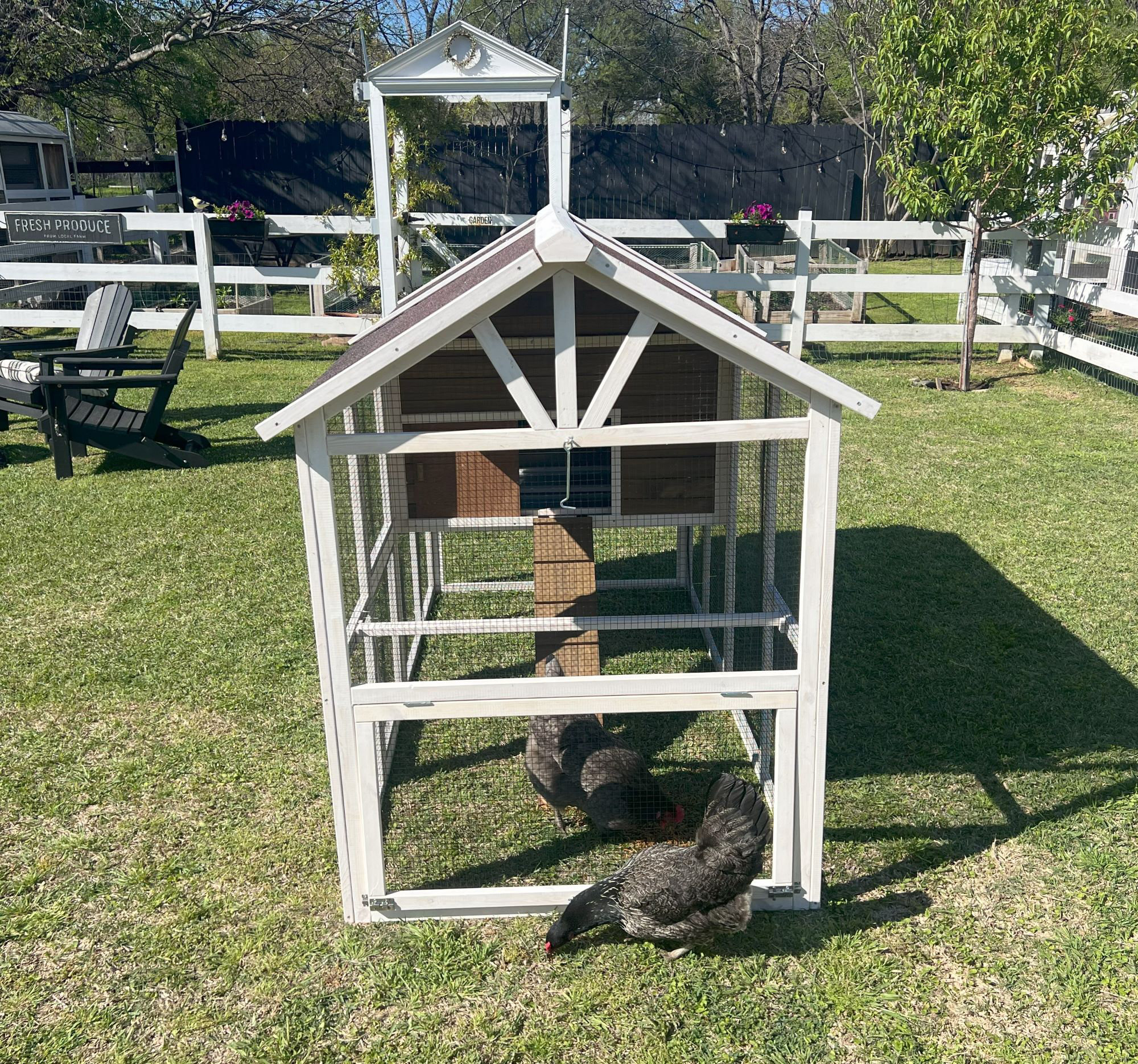 Zylina 24 Square Feet Chicken Coop with Nesting Box For Up To 8 ...