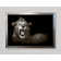Bright Star Lion Roar - Single Picture Frame Art Prints | Wayfair.co.uk