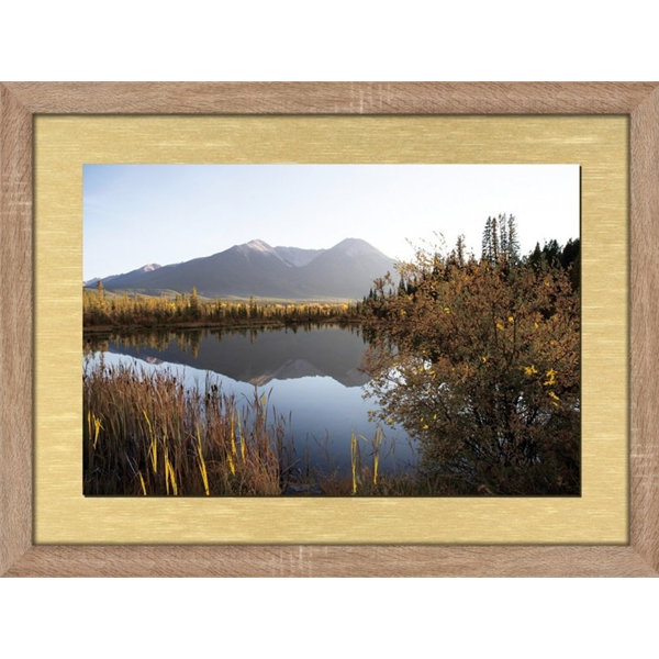Millwood Pines Victoria Bella 16FF1/A Floating Foiled Art - Scenic ...