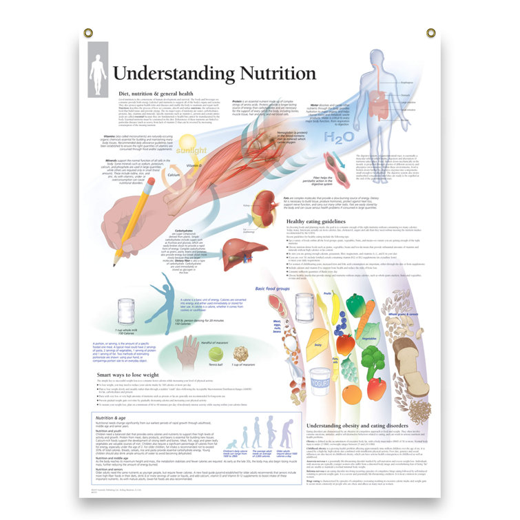 Trinx Jatana Educational Poster | Wayfair