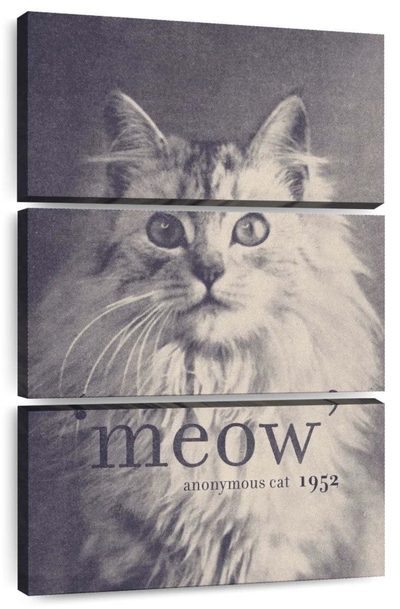 Ebern Designs Brampt Famous Quotes Anonymous Cat 1952 - Wayfair Canada