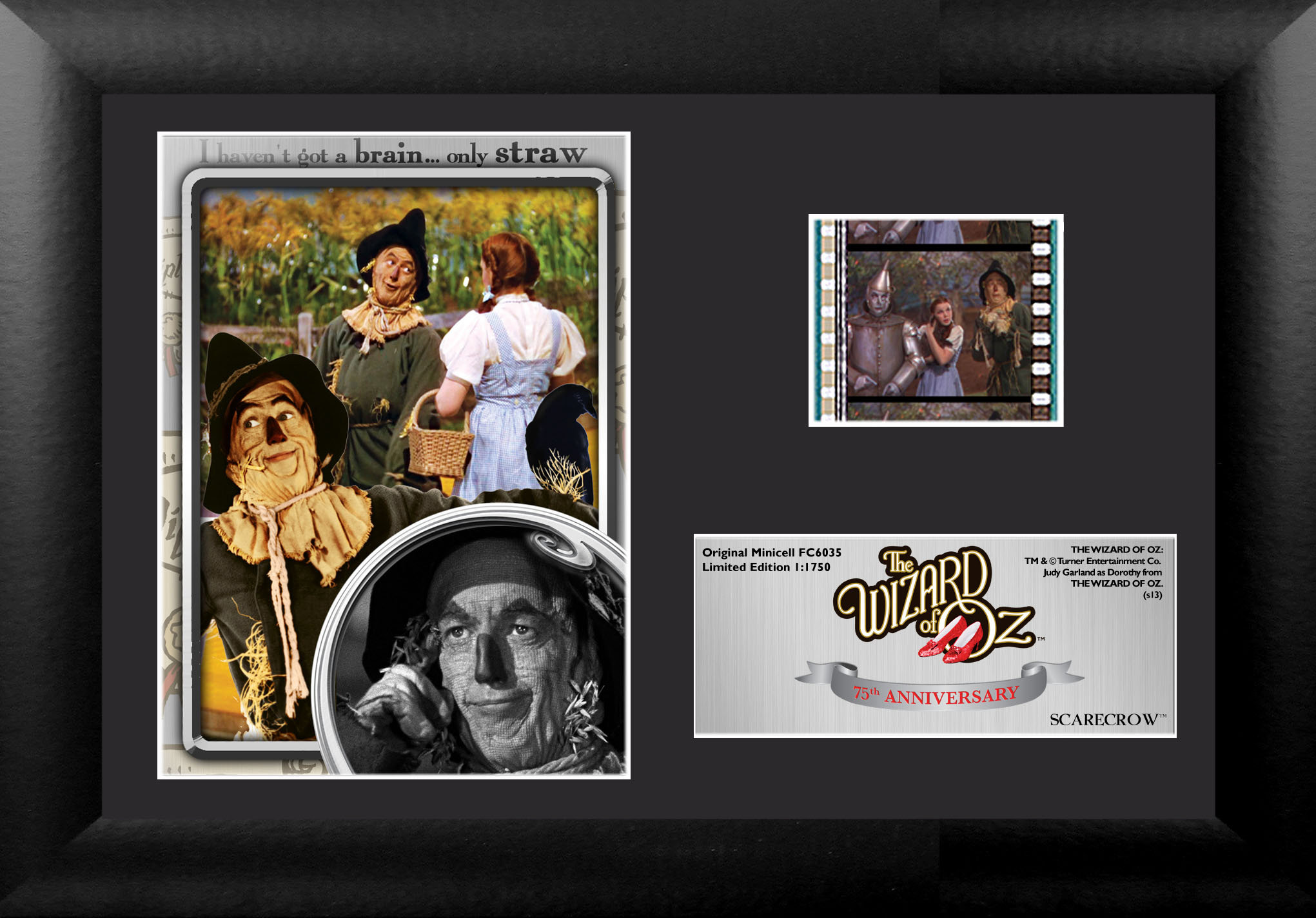 Trend Setters Wizard of Oz 75th Anniversary (Scarecrow) 7 x 5 FilmCells Framed Desktop Display ...