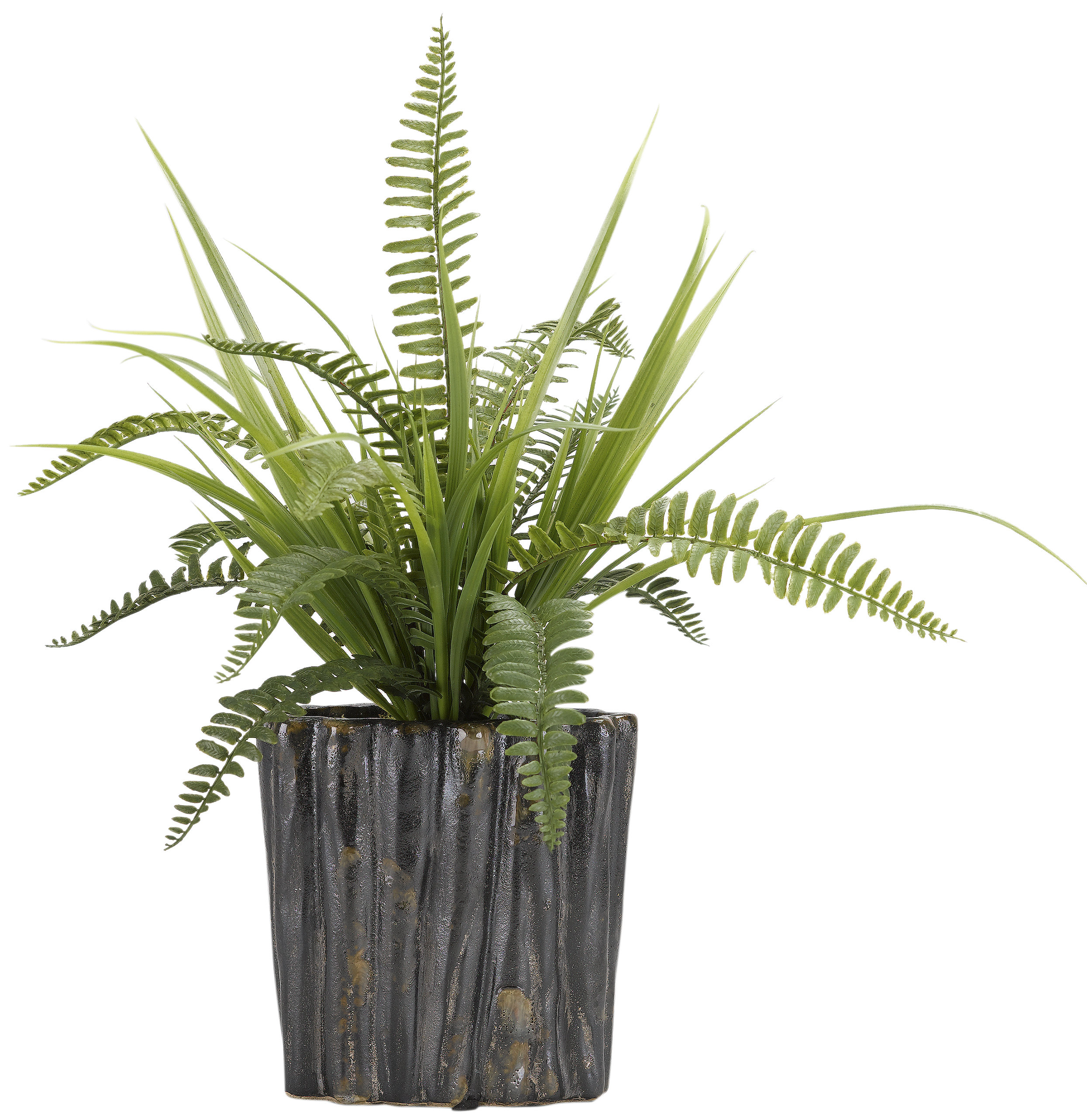 Wrought Studio™ Boston Fern and Wild Grass Oval Ceramic Plant in ...