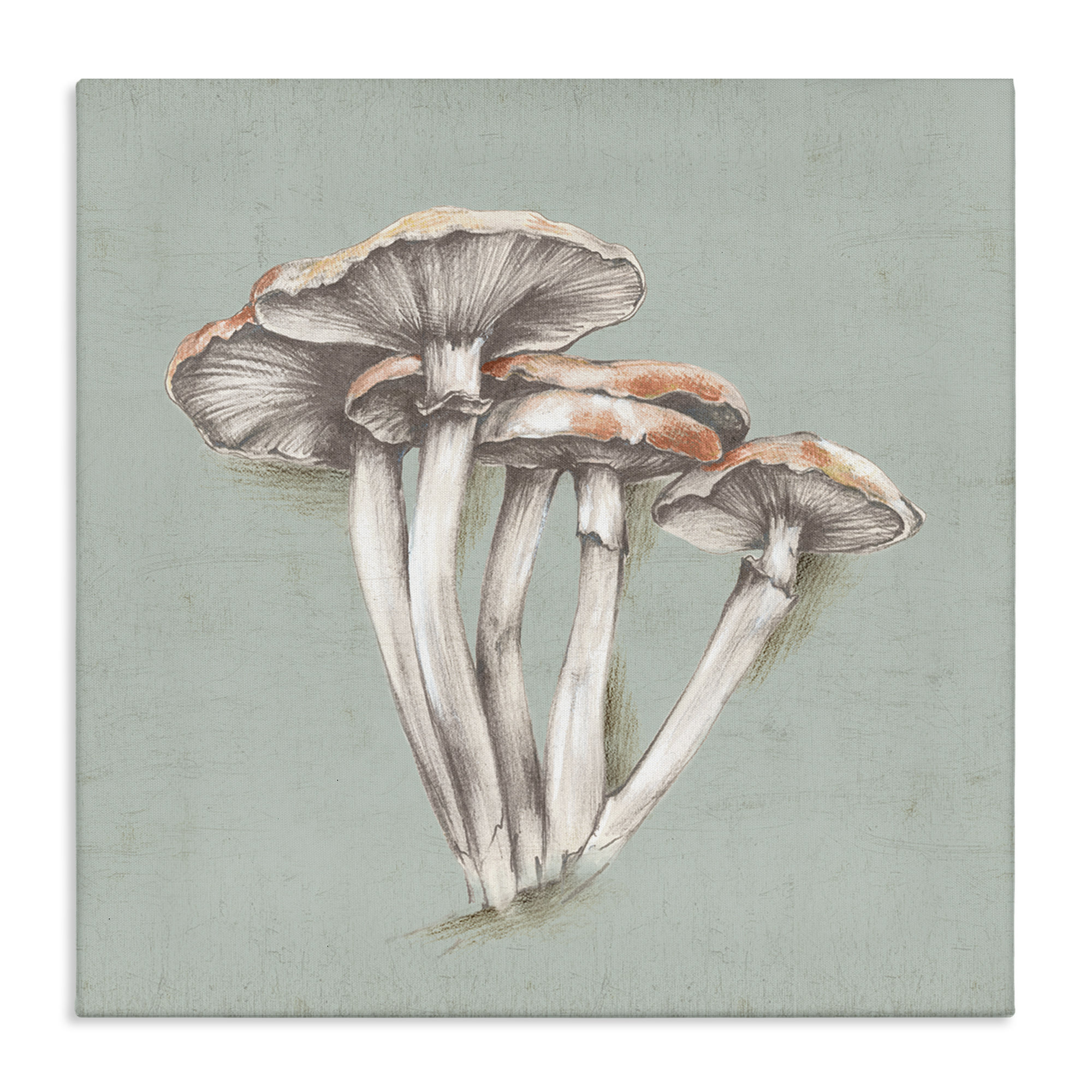 August Grove® Mushroom Bundle Drawing Canvas Wall Art by Eli Jones ...
