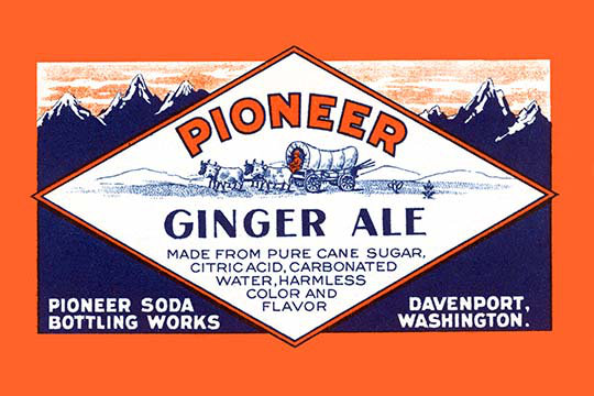 Buyenlarge 'Pioneer Ginger Ale' Vintage Advertisement | Wayfair