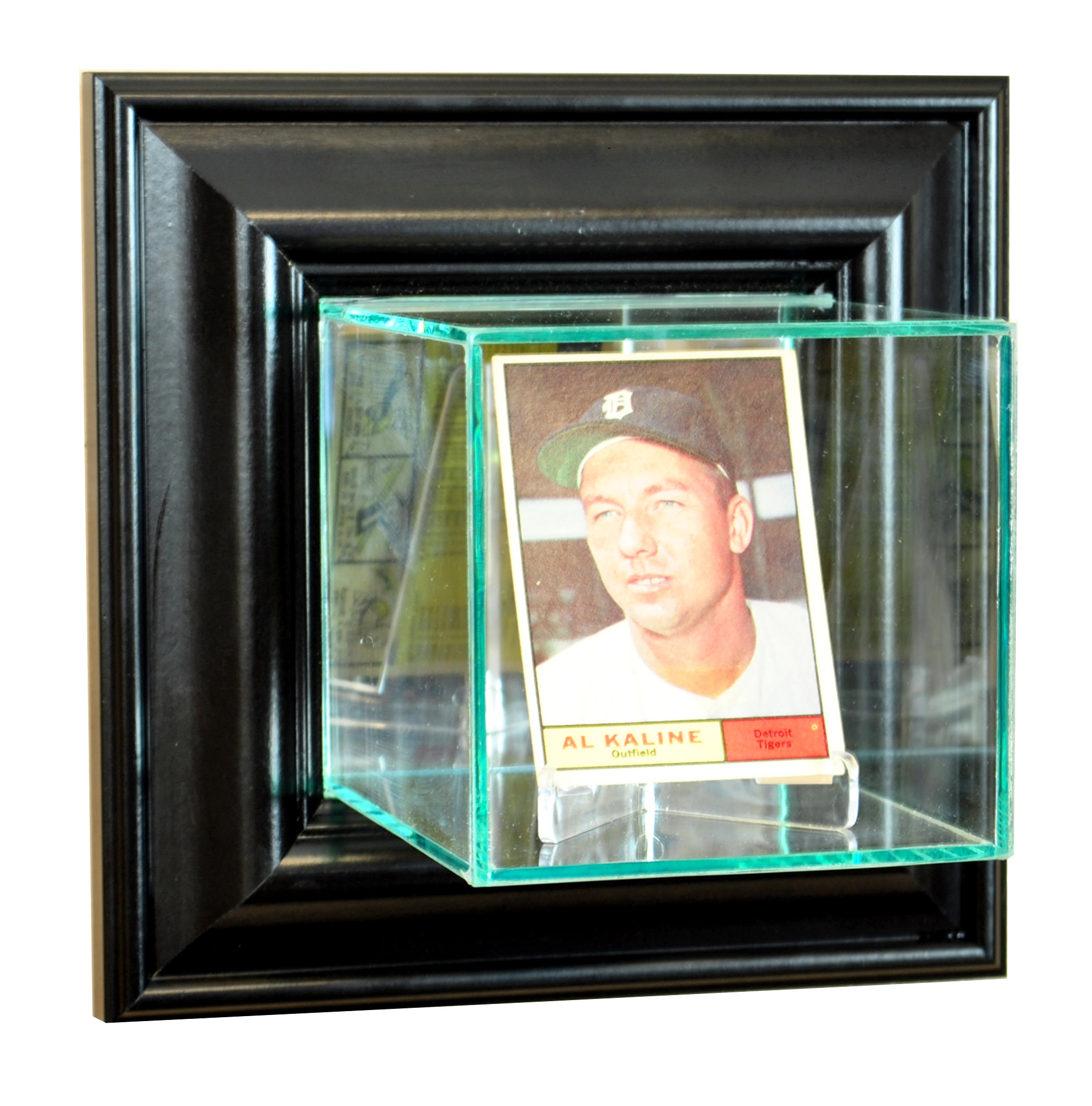 Perfect Cases and Frames Wall Mounted Card Display Case | Wayfair