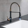 Wrought Studio™ Single Handle Lever Led Kitchen Faucet With Pull Down ...