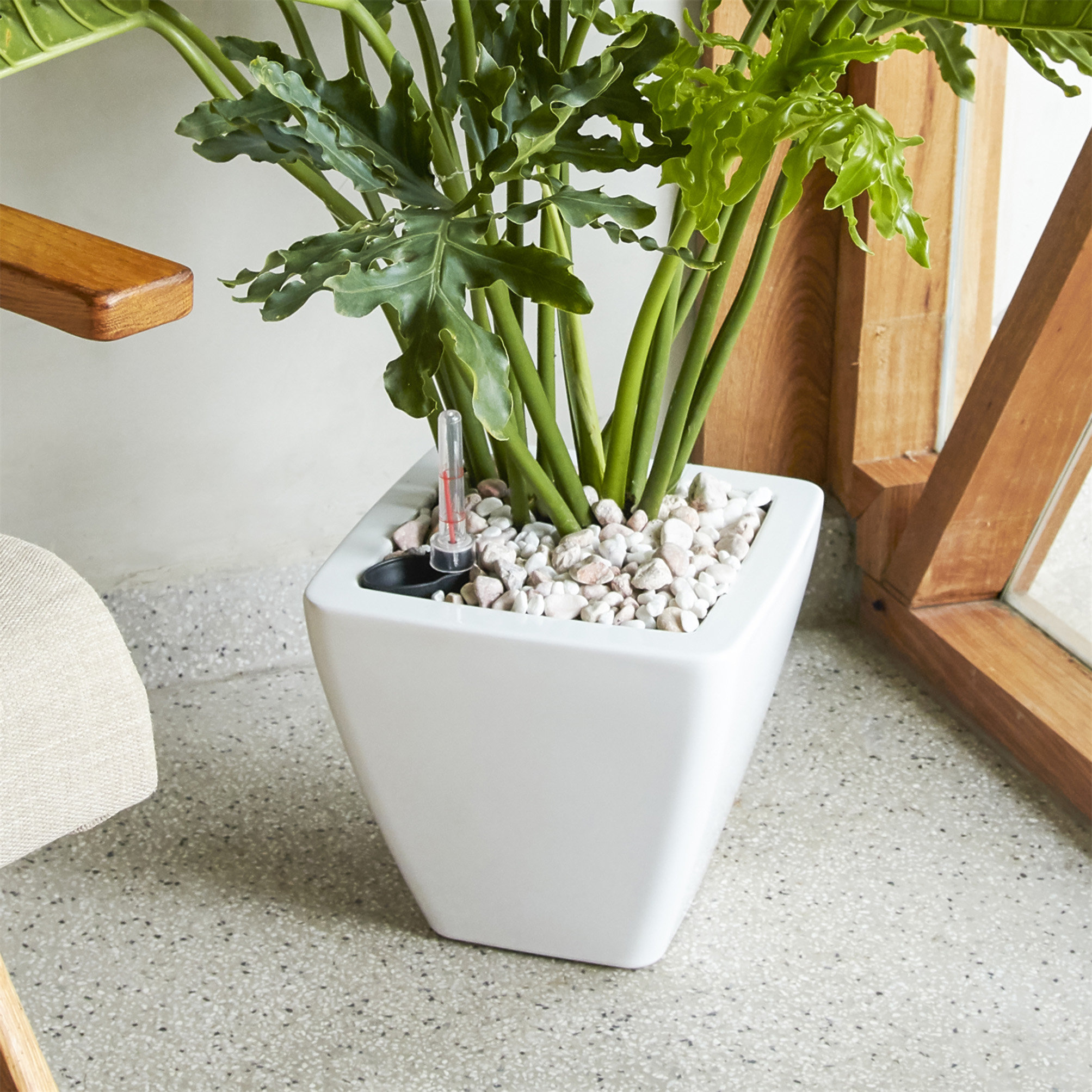 Ebern Designs Innovative Self-Watering Planter Pots For Indoor And ...