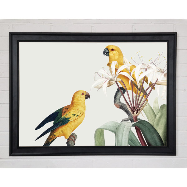 Bay Isle Home Two Yellow Parrots - Single Picture Frame Print | Wayfair ...