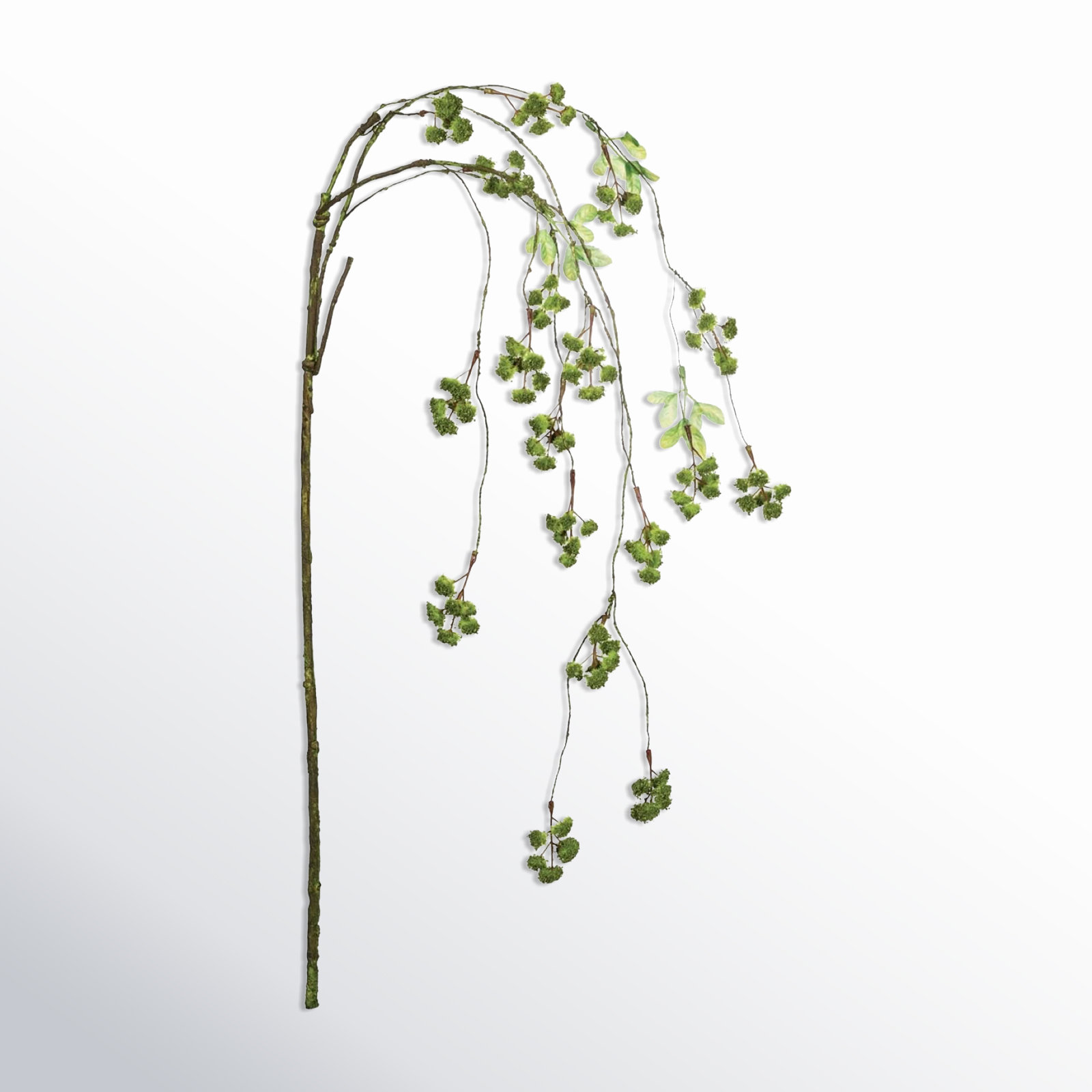 Birch Lane™ Hanging Irish Moss Sprays & Reviews | Joss & Main