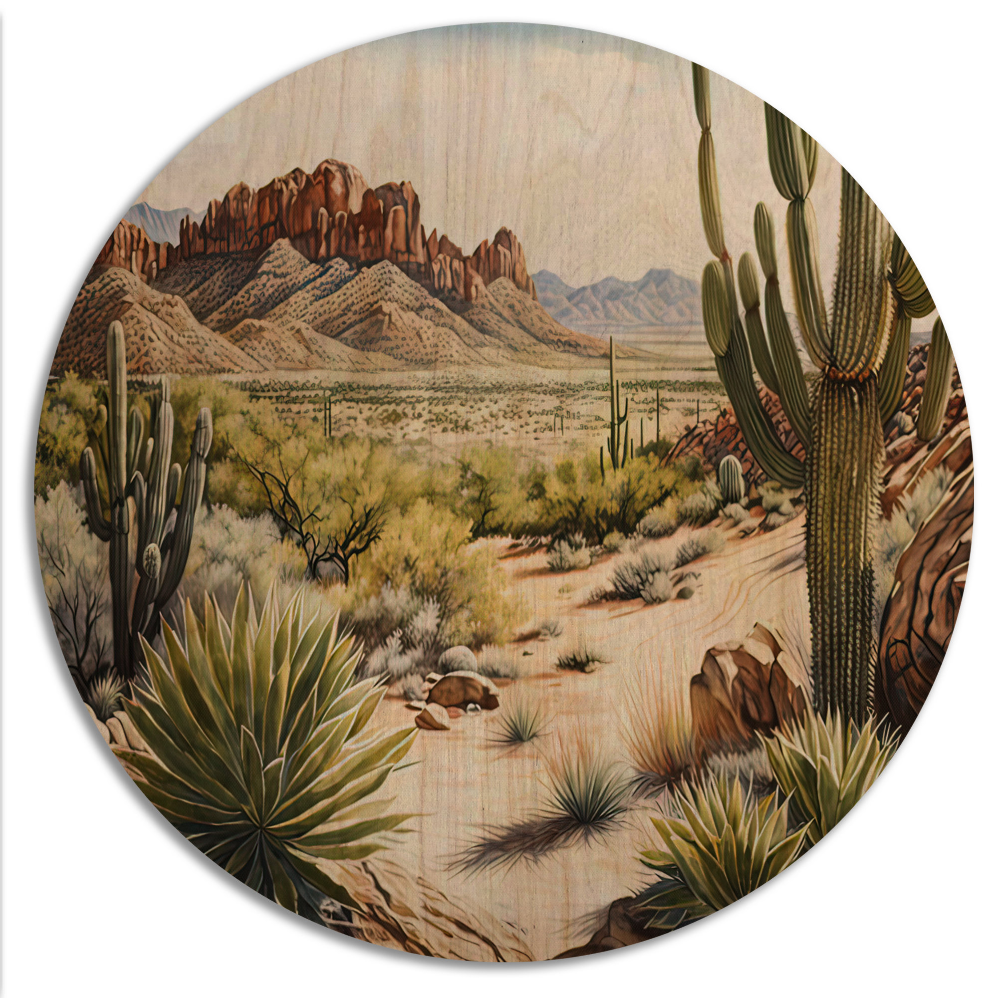 Foundry Select Arizona Desert V - Southwestern Wood Wall Art - Natural ...