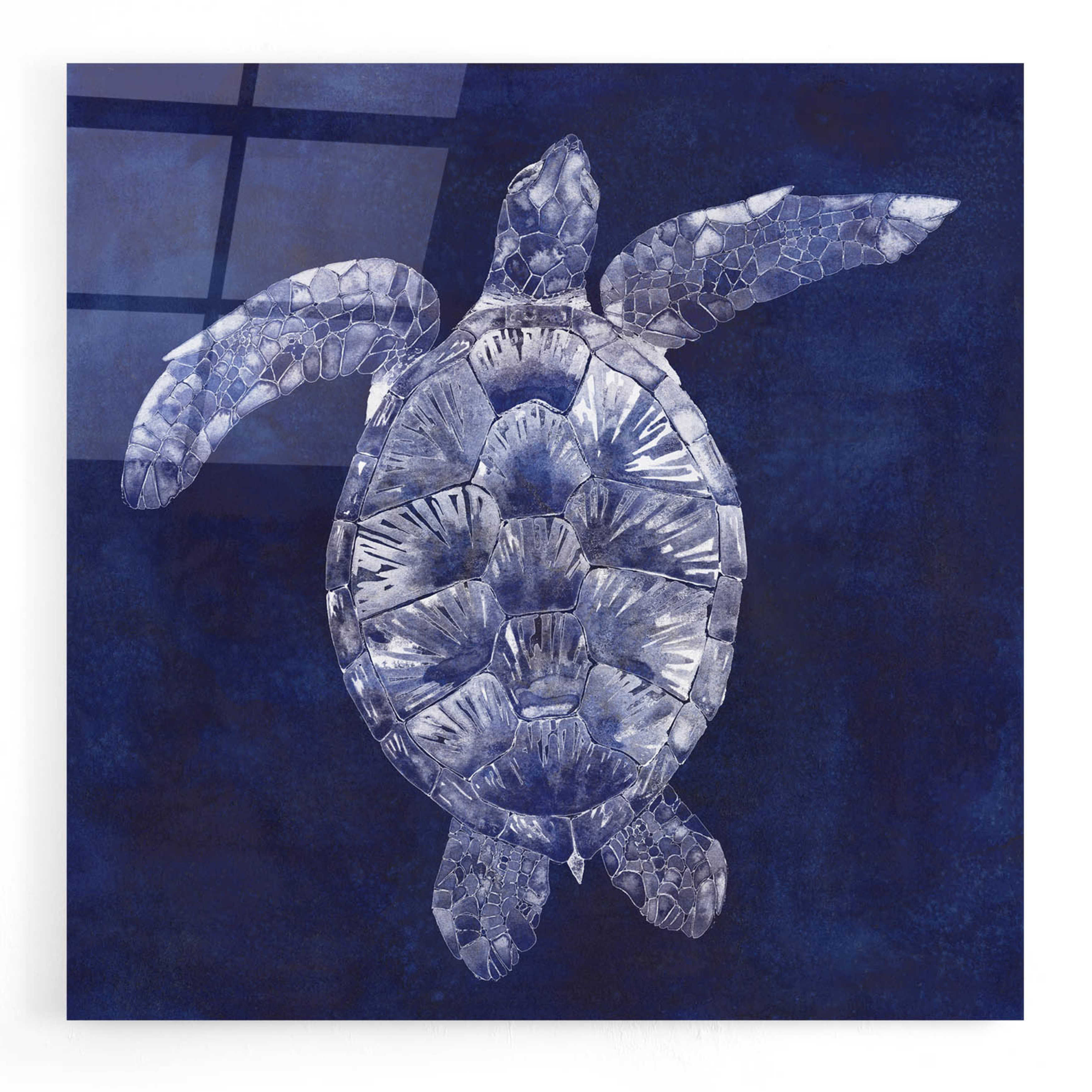 Bay Isle Home™ "Sea Turtle Shadow II'' By Grace Popp, Acrylic Wall ...