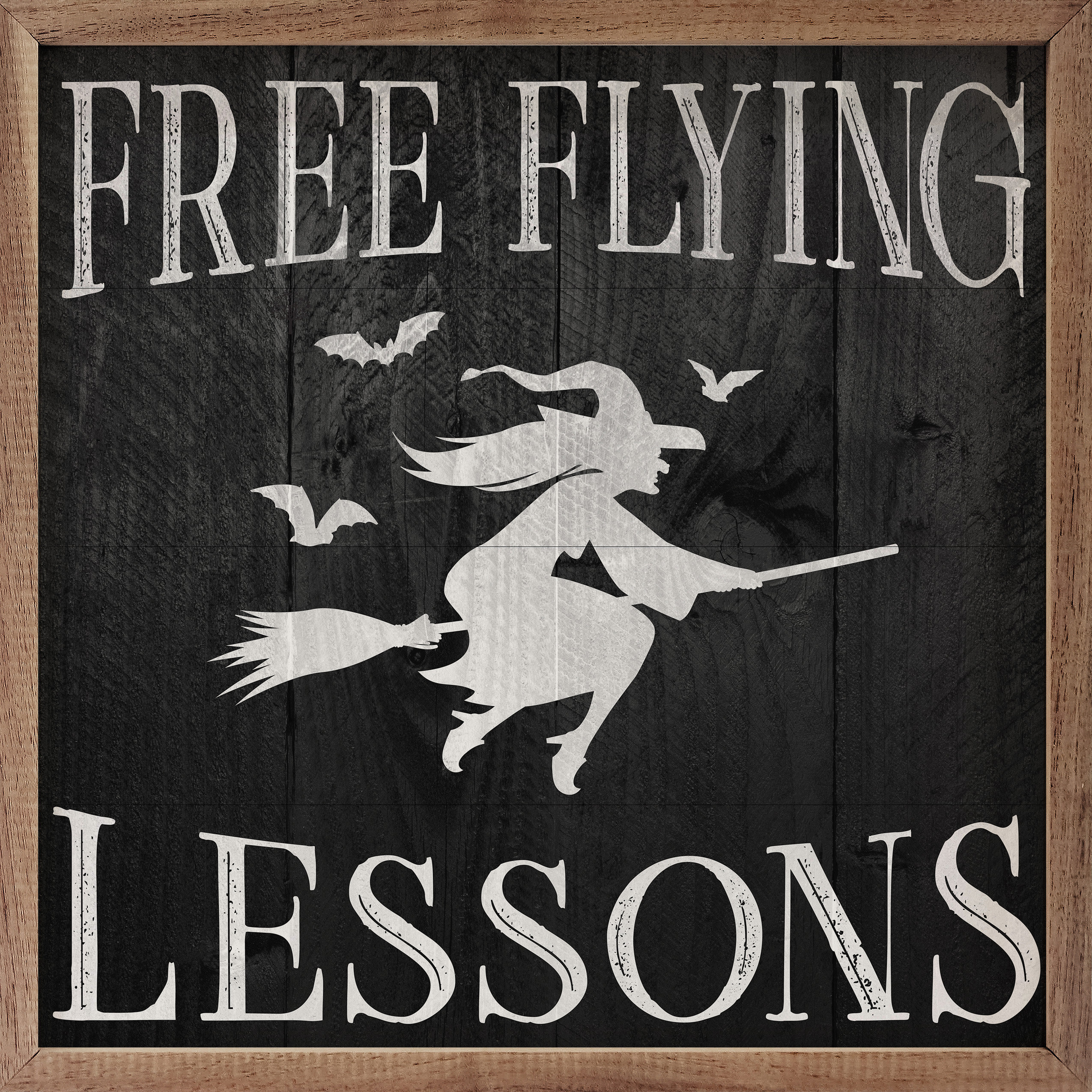 Trinx Free Flying Lessons Witch Black - Wayfair Canada