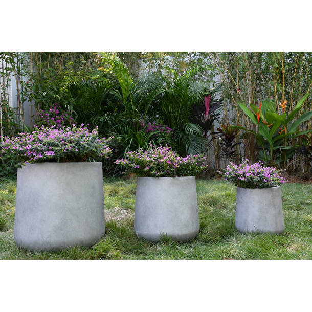 Latitude Run® Kante 3 Piece Round Concrete Planter, Outdoor Indoor ...