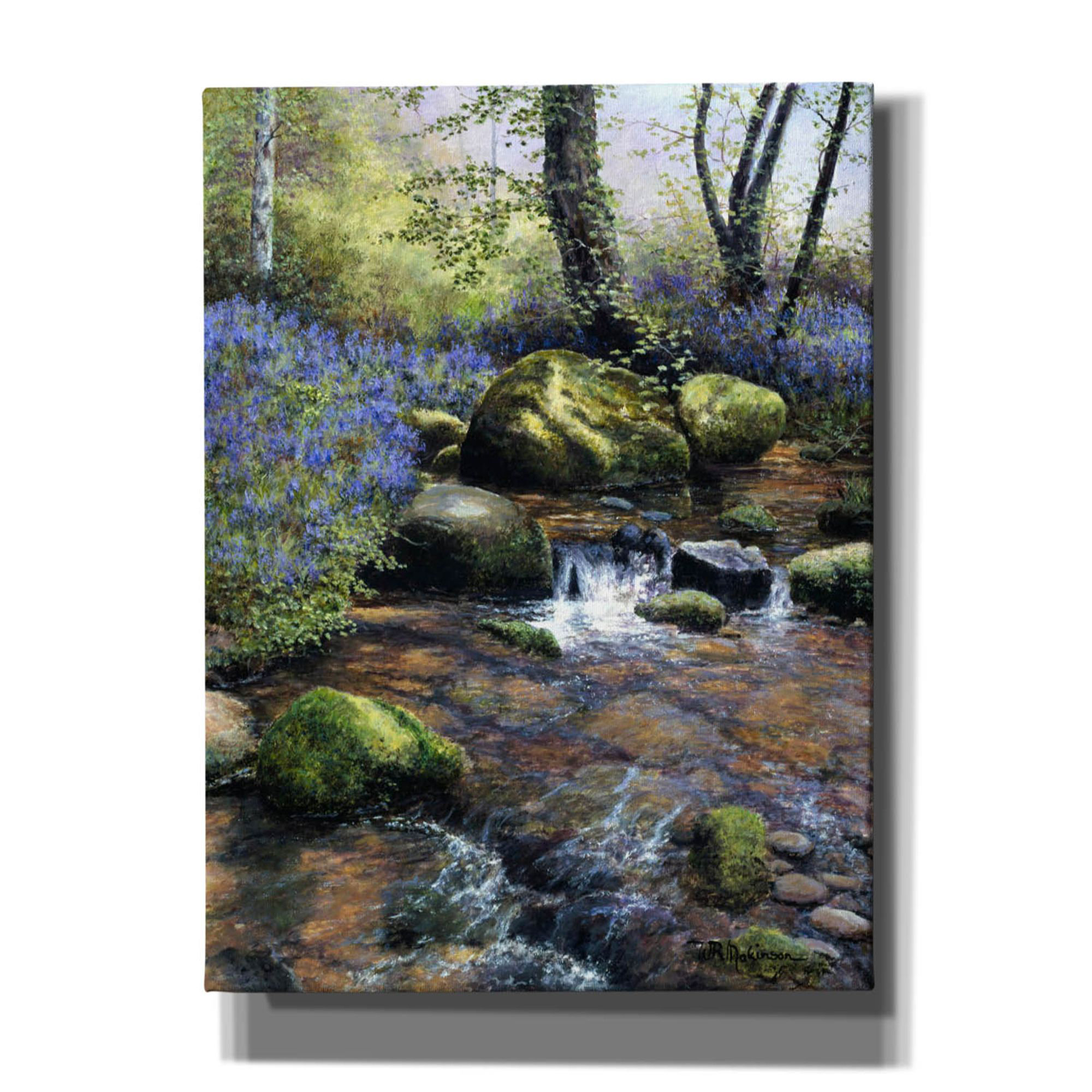 Millwood Pines Aleeyah Shallow Brook - Wrapped Canvas Print | Wayfair