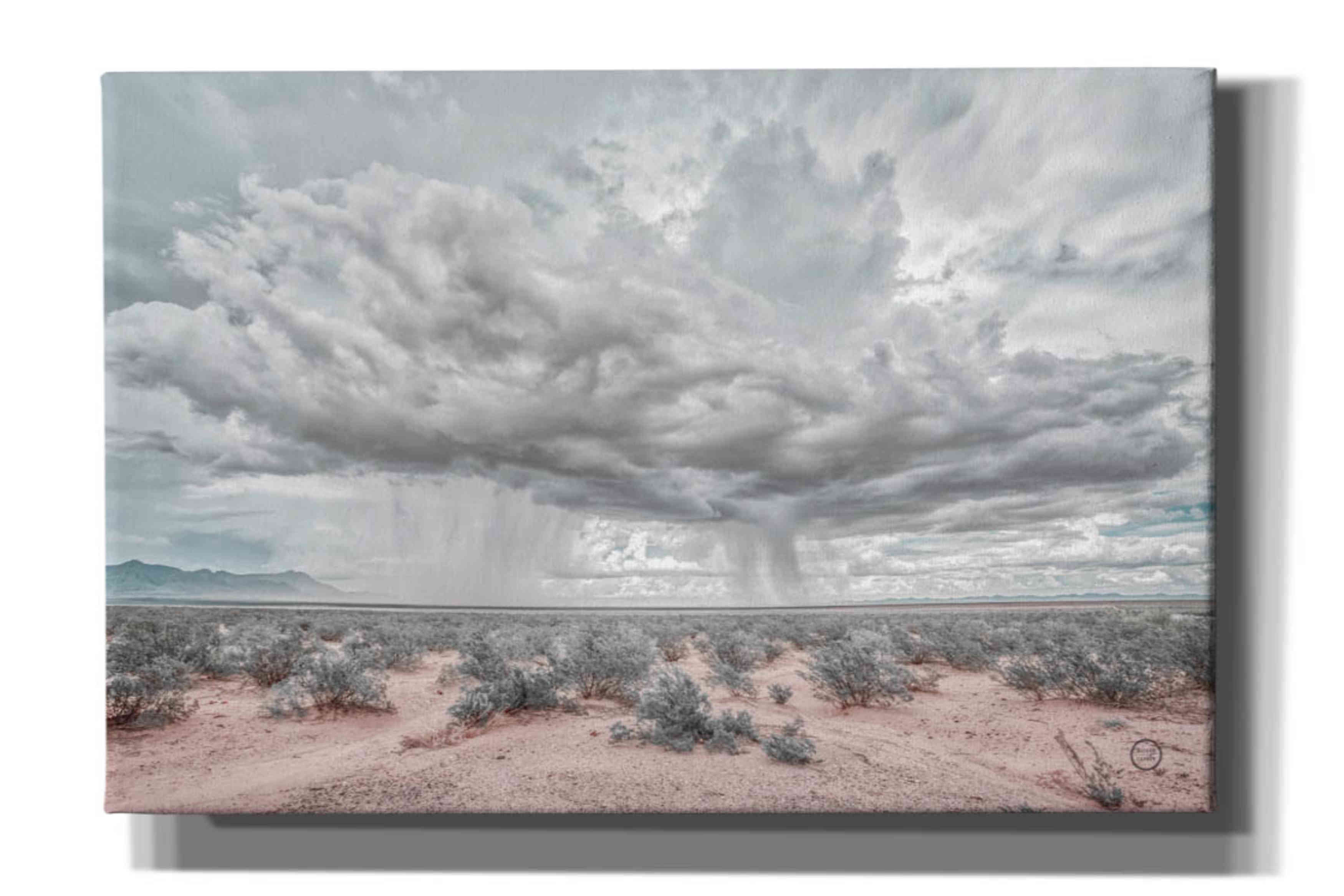 Union Rustic New Mexico Rain by Nathan Larson - Wrapped Canvas Graphic ...