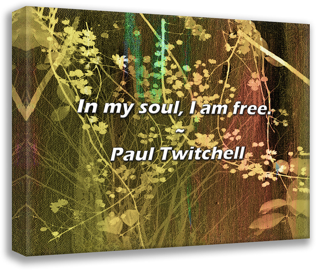 Trinx Paul Twitchell Quote: In my soul, I am free. | Wayfair