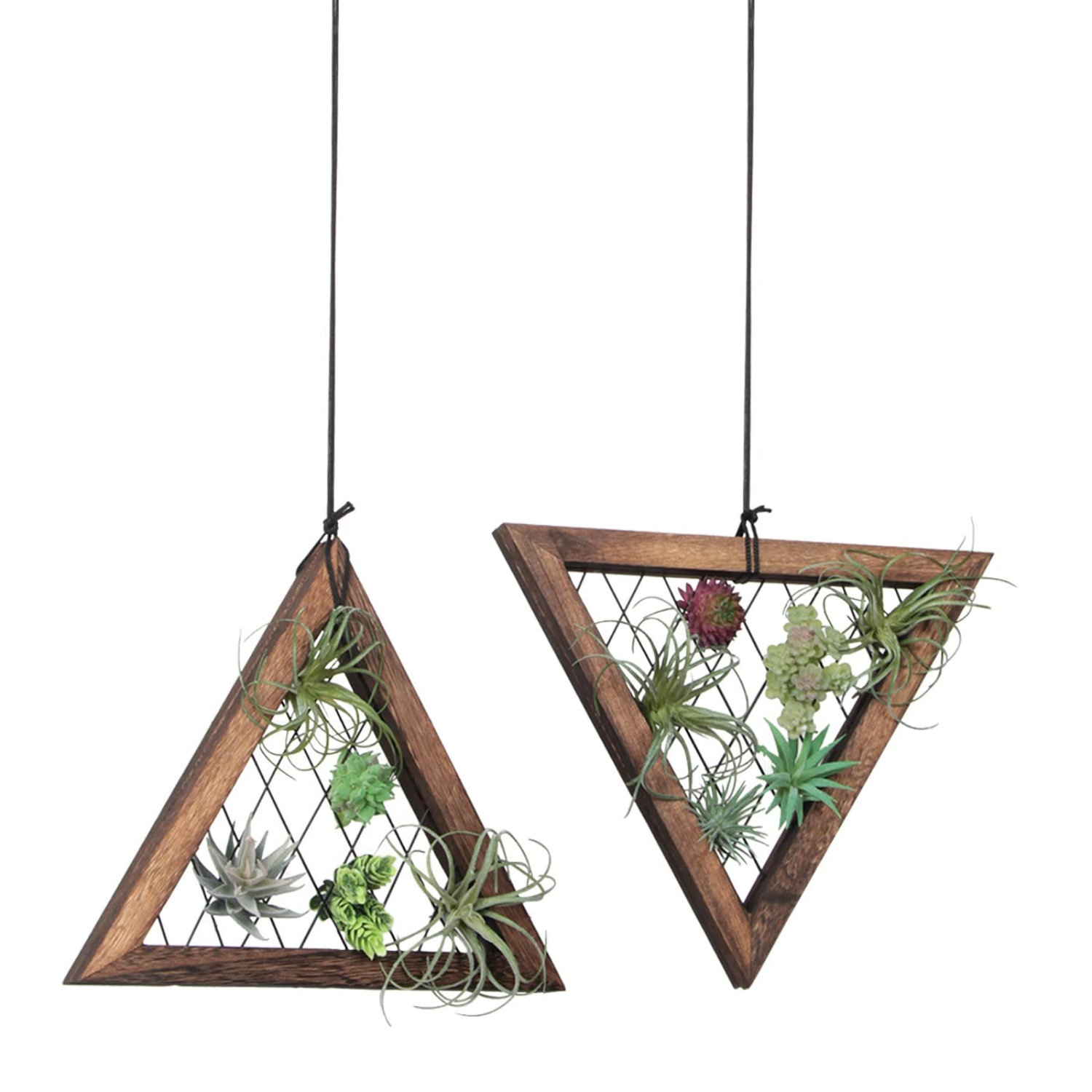 Dakota Fields Air Plant Triangle Frame Hanging Airplant Holder, Rustic ...