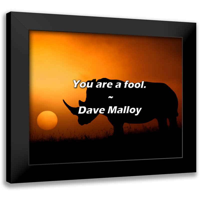 Trinx Dave Malloy Quote: You are a fool. | Wayfair