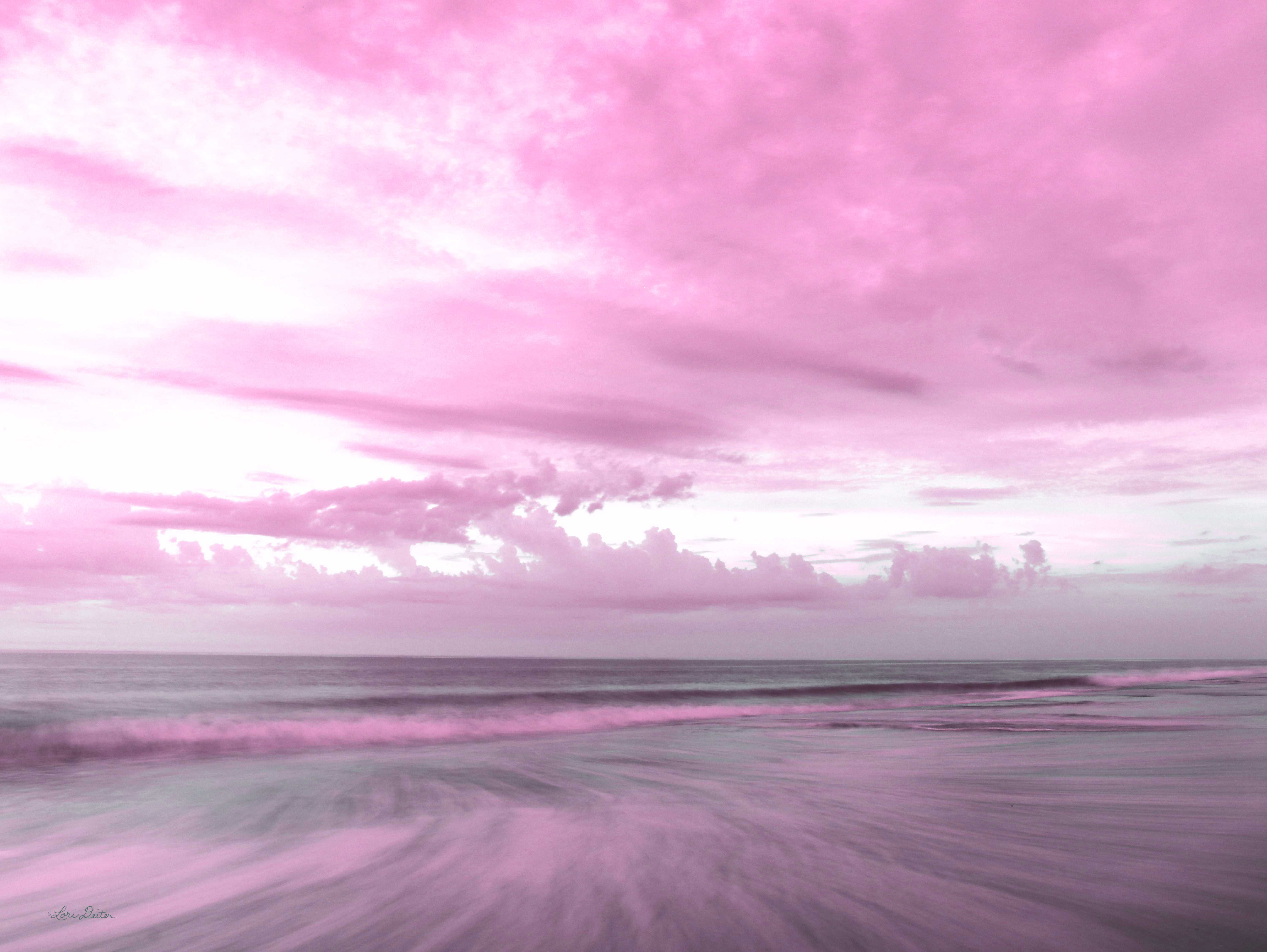 Rosecliff Heights Pink Beach Emotions by Lori Deiter - Wrapped Canvas ...