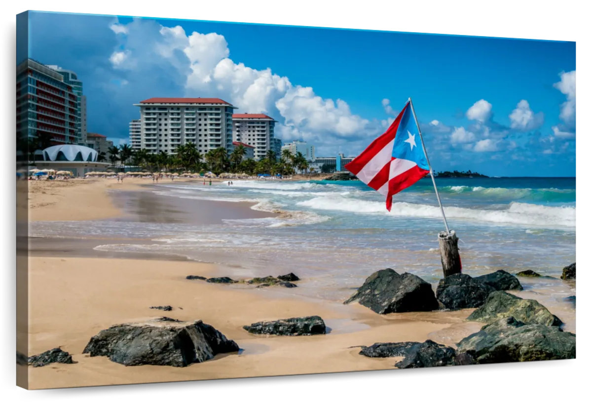 Elephant Stock Sandy San Juan Beach | Wayfair