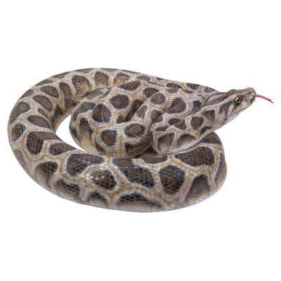 Hi-Line Gift Ltd. CURLED UP PYTHON STATUE | Wayfair