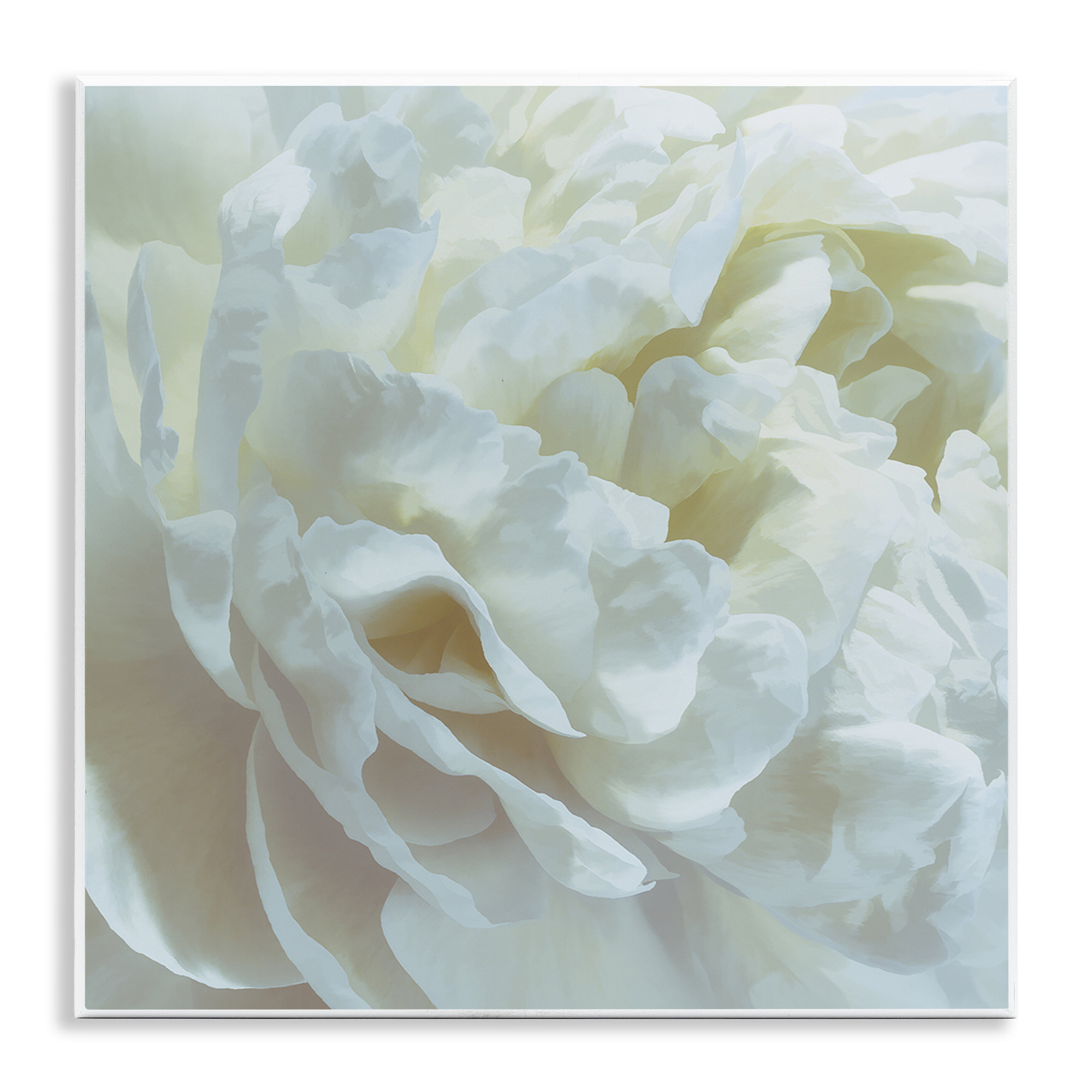 House of Hampton Elegant White Petals Wall Plaque, design by David ...