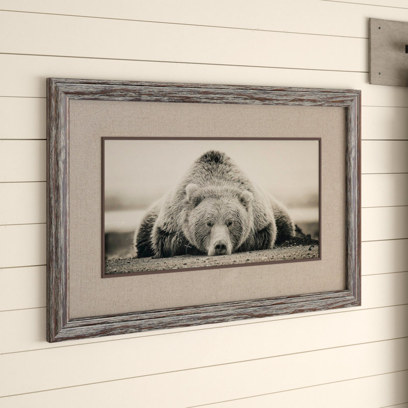 Steelside™ Deep Sleep Bear by Liz Jardine - Picture Frame Photograph ...