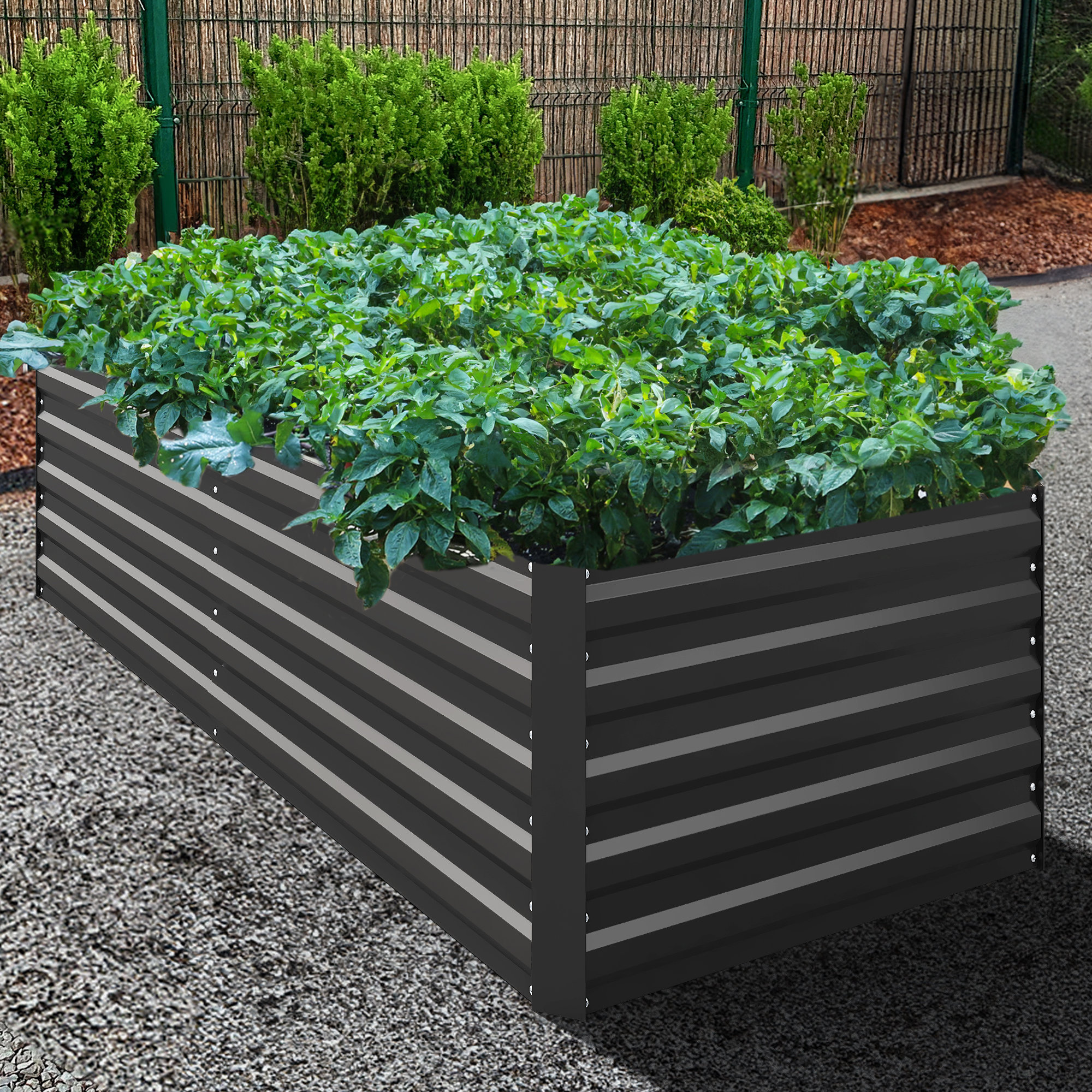 Arlmont & Co. Seiter Metal 6 ft x 3 ft Outdoor Raised Garden Bed ...