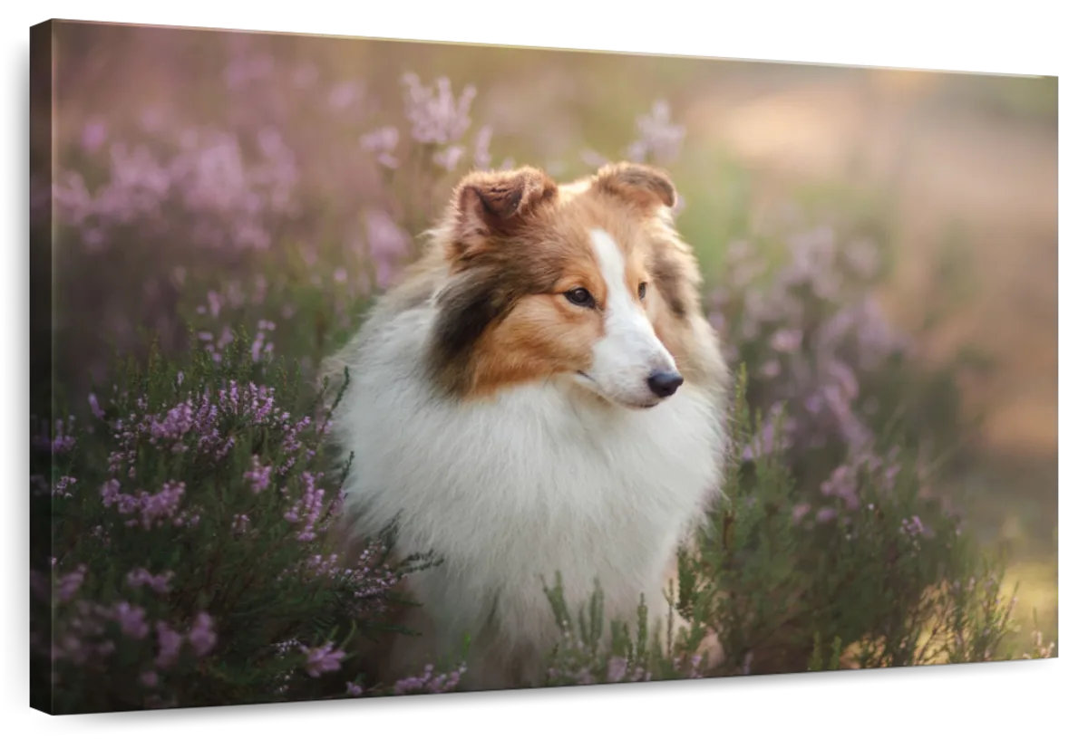 Ebern Designs Sheltie And Flowers | Wayfair