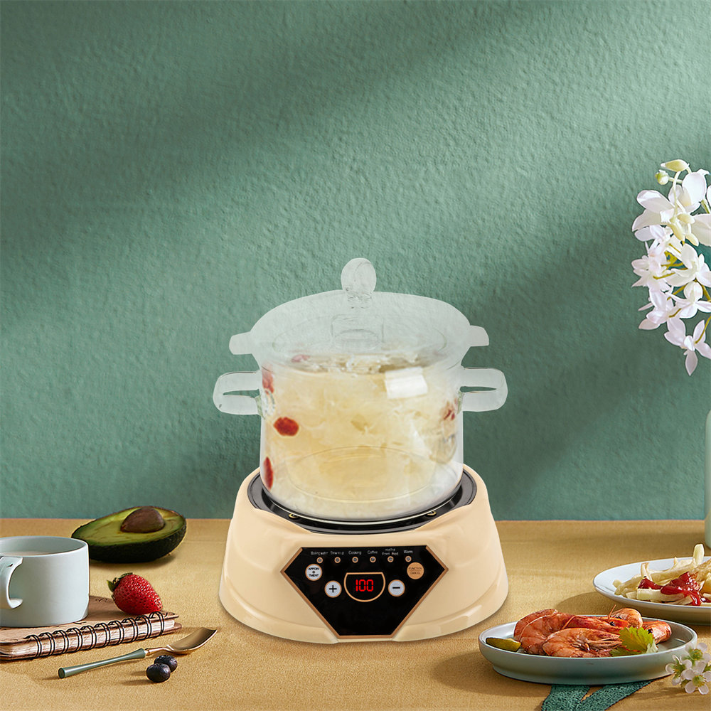 SUNYOU Multifunctional Health Pot 700W Automatic Electric Stew Pot 1.6L ...