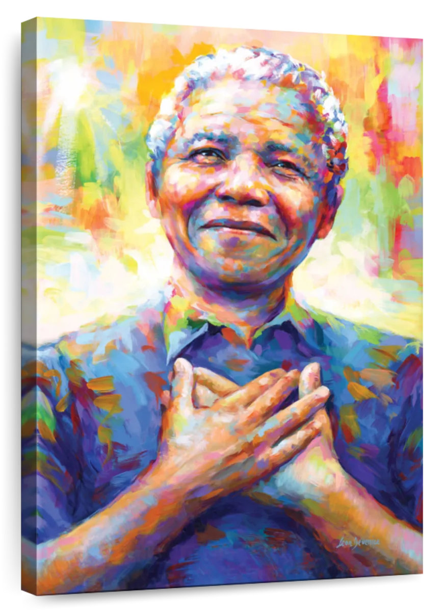Winston Porter Nelson Mandela Modern Portrait - Wayfair Canada