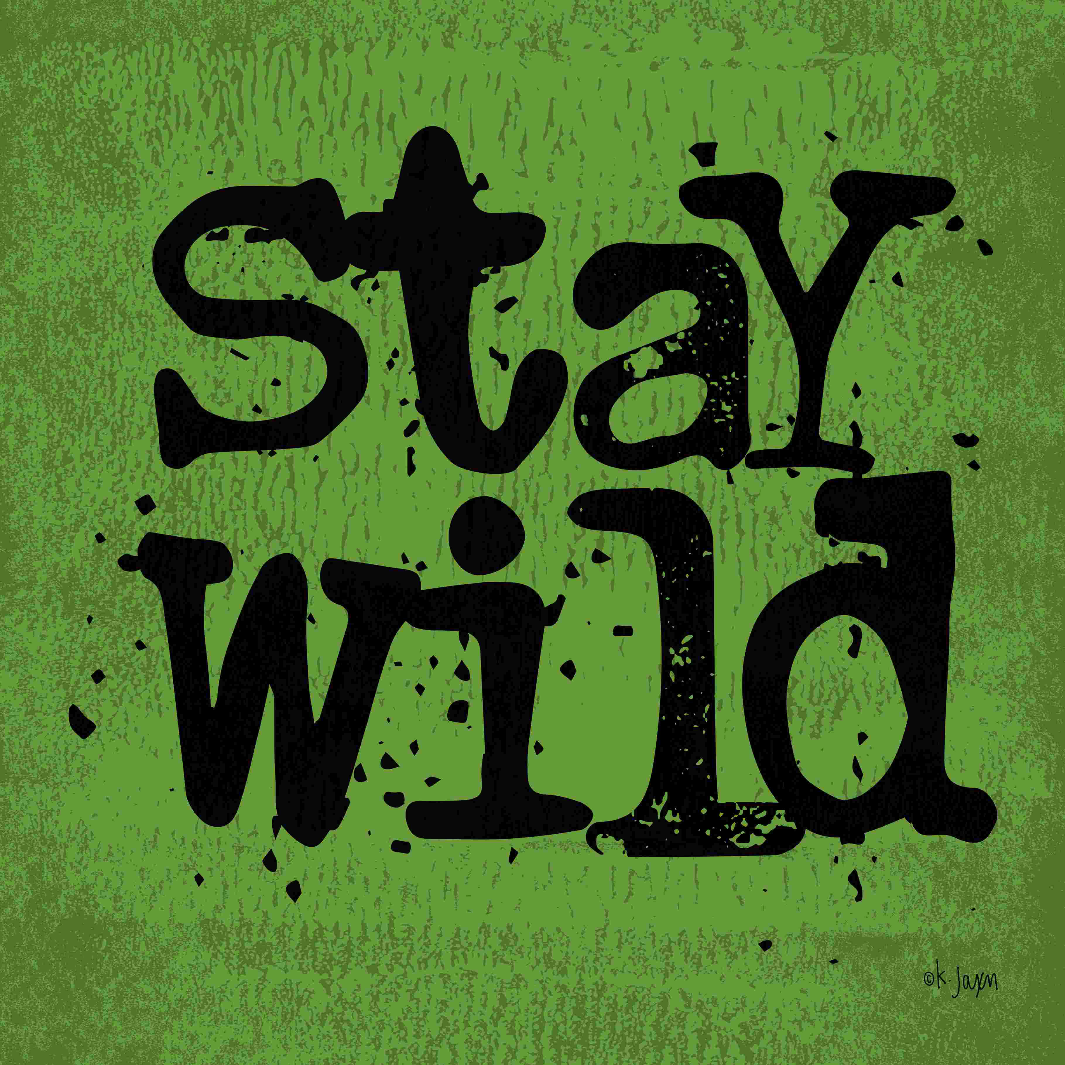 Trinx Stay Wild by Jaxn Blvd. - Wrapped Canvas Print | Wayfair