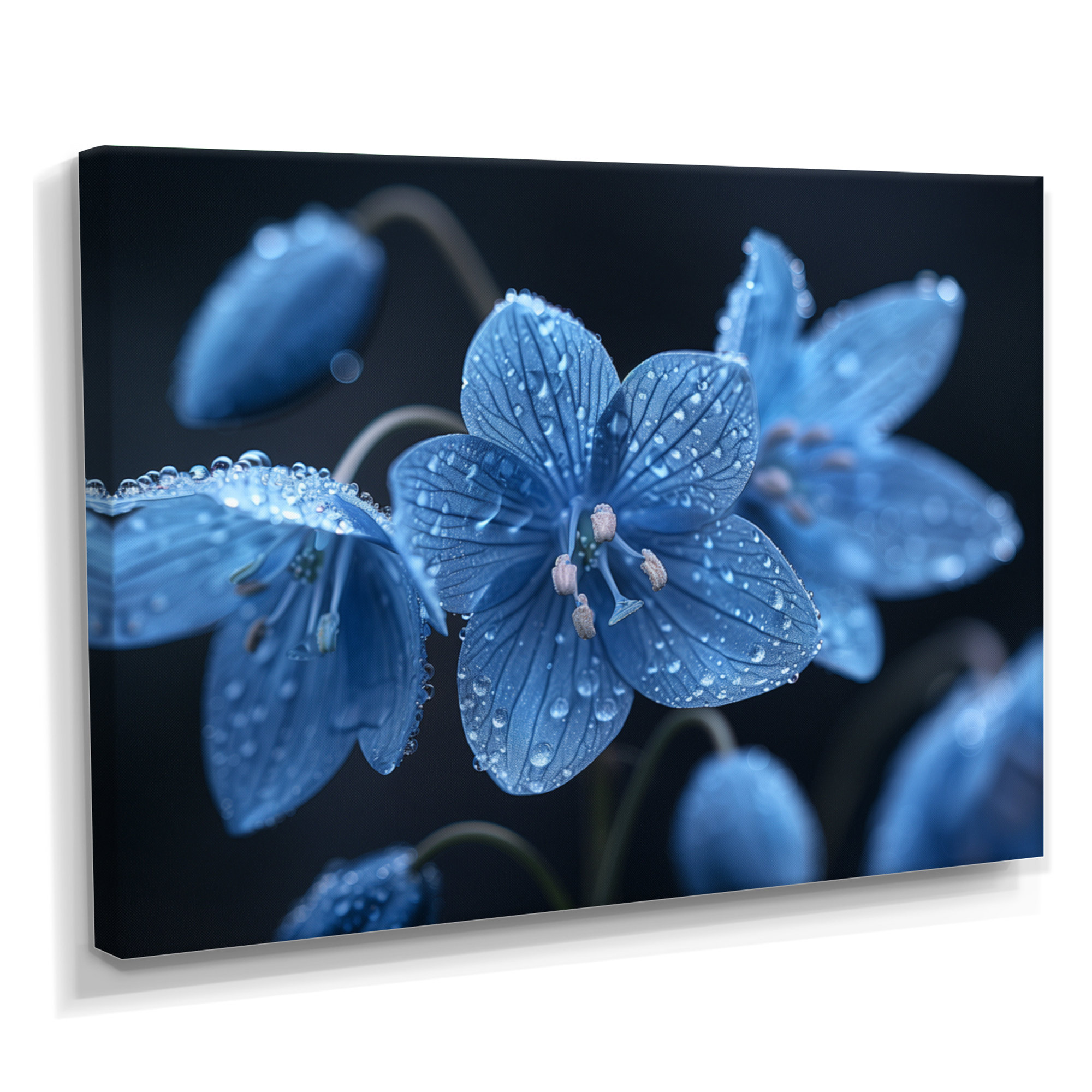 Ebern Designs Blue Grey Frozen Tears Snowdrop - Snowdrops Wall Art ...
