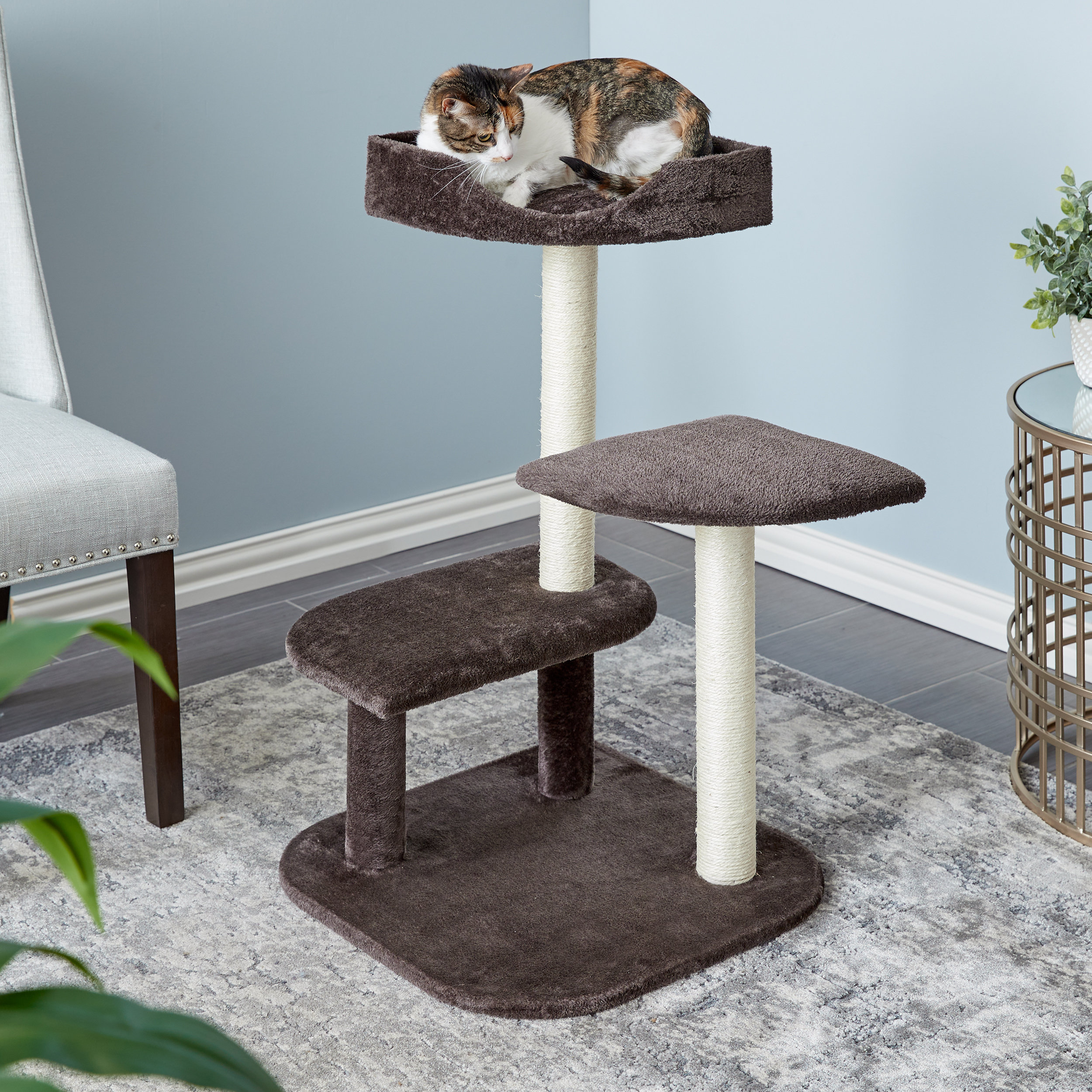 Tucker Murphy Pet™ 34.6" Ficus Cat Tree or Condo | Wayfair