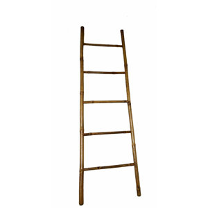 MGP 5' Bamboo Ladder, 19"W X 60"H & Reviews | Wayfair