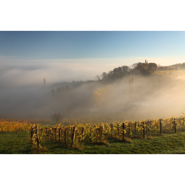 Alpen Home A Foggy Morning by Sergey_borisov - Wrapped Canvas Print ...