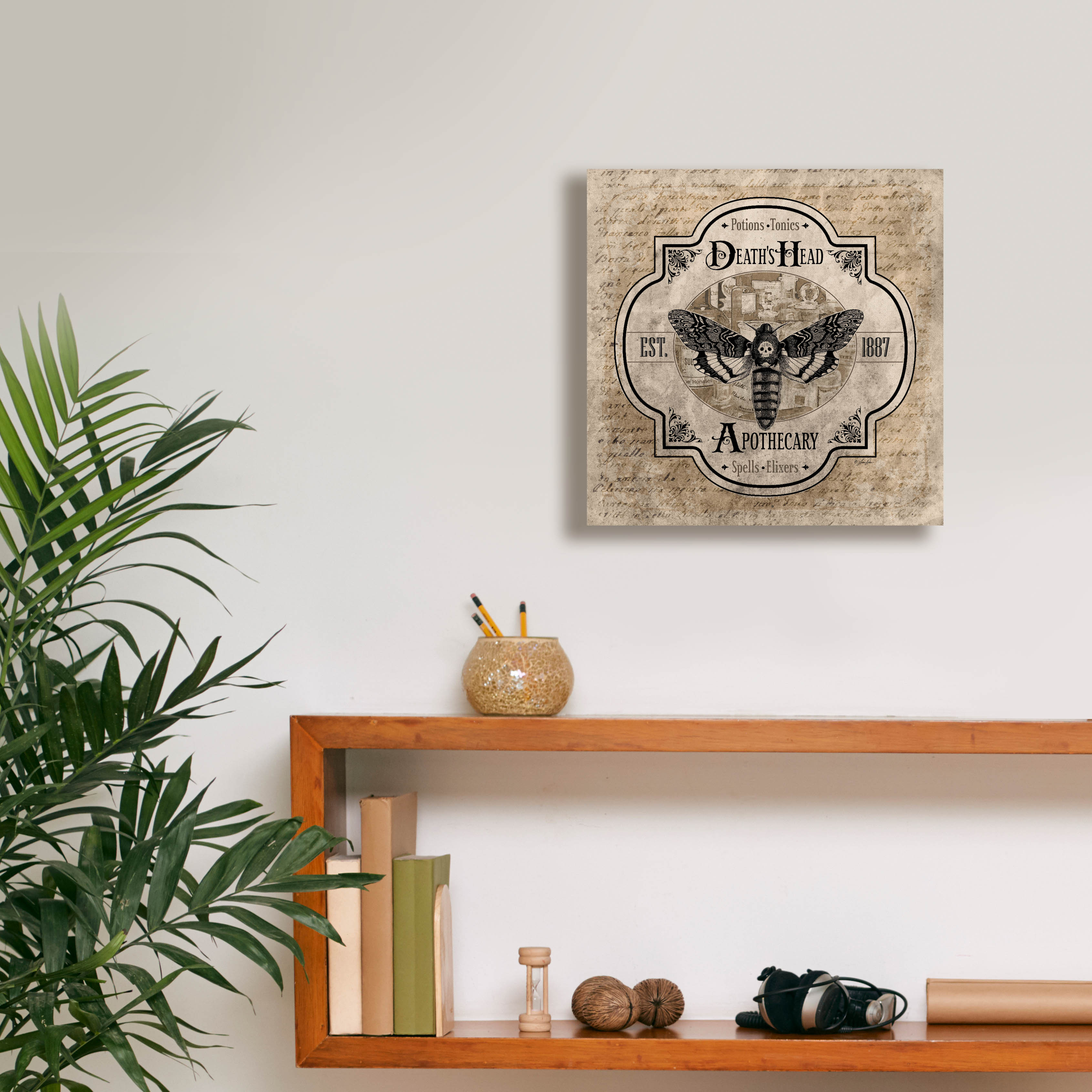 Fleur De Lis Living 'Death's Head Apothecary' by Lauren Rader Canvas ...
