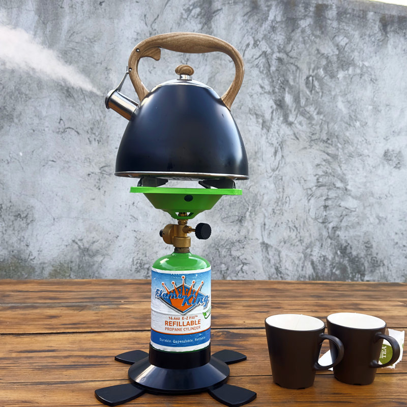 Flame King 1LB Refillable Empty Propane Cylinder Tank Reusable DOT ...