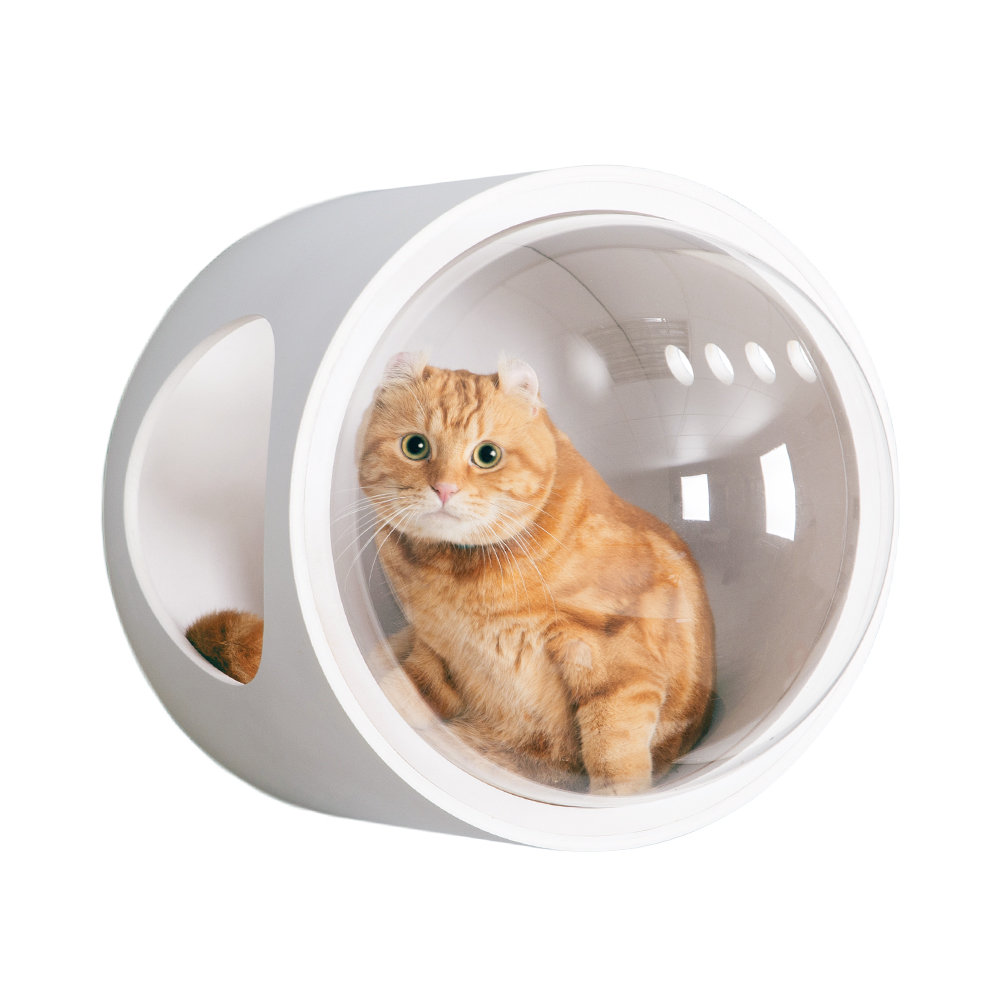 Tucker Murphy Pet™ 19" Eisine Cat Perch | Wayfair