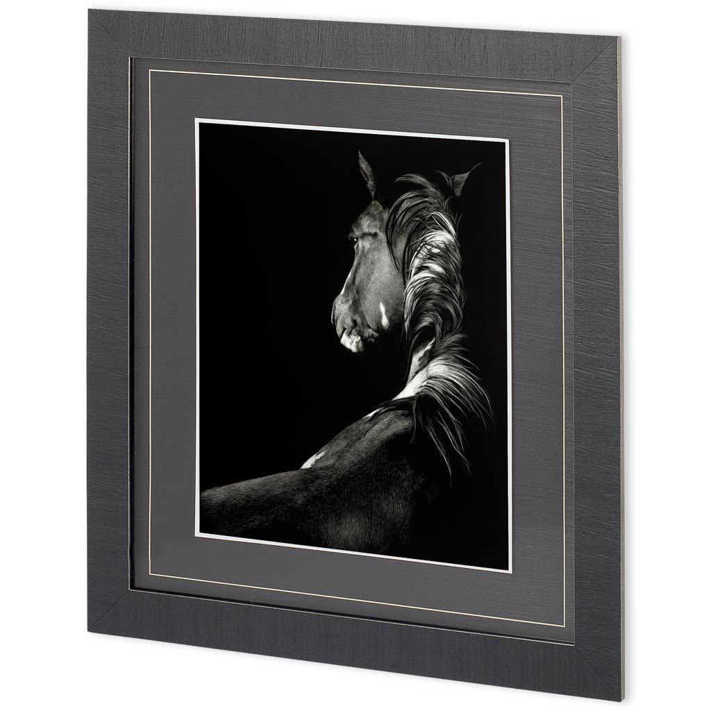 Foundry Select Custom Scratchboard Sunstruck Framed On Paper Print ...