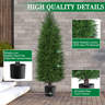 Primrue Faux Pine Trees ,Fake Shrubs Evergreen For Front Porch Decor ...
