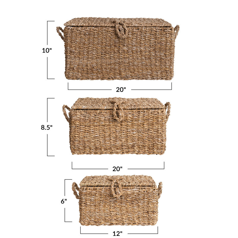 Bay Isle Home™ Lincolndale Handwoven Seagrass Storage Trunks & Reviews ...