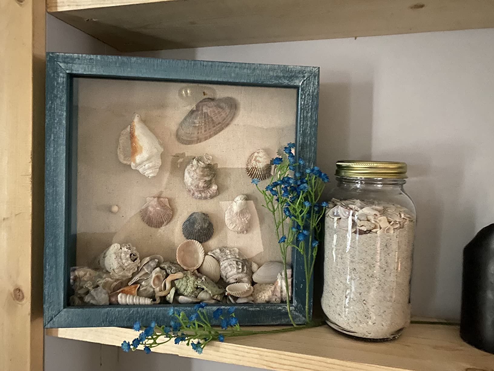 Hokku Designs Carbonized 11 x 11 Wood Shadow Box Display Case with ...